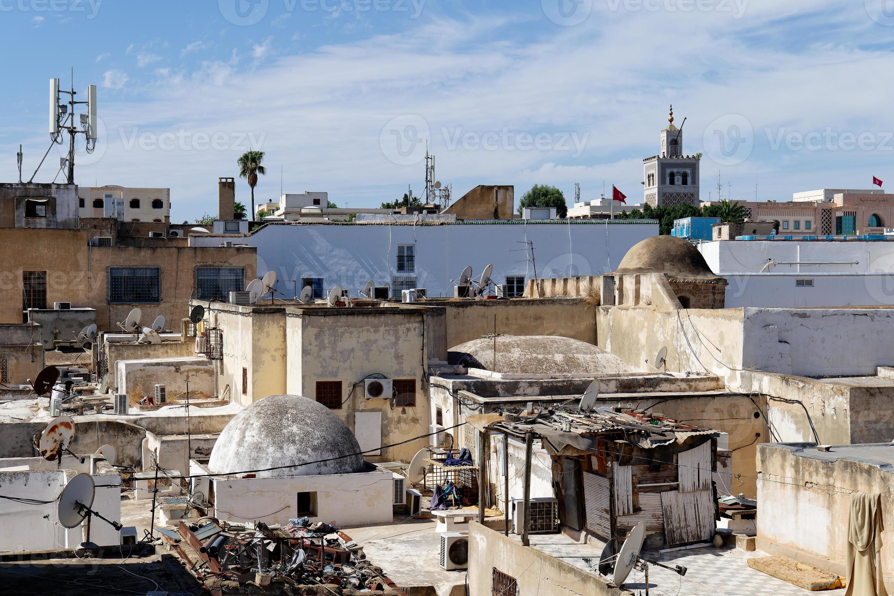 View of the Old Medina of Tunis, Unesco. Around 700 monuments, including palaces, mosques ...