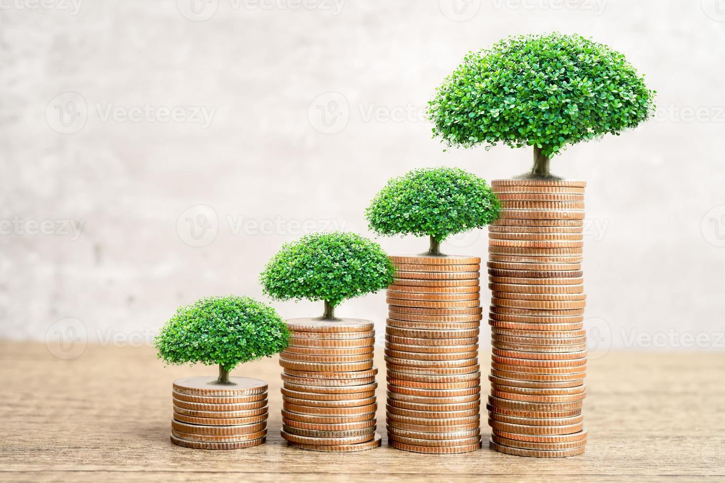 Coin Tree Stock Photos, Images and Backgrounds for Free Download