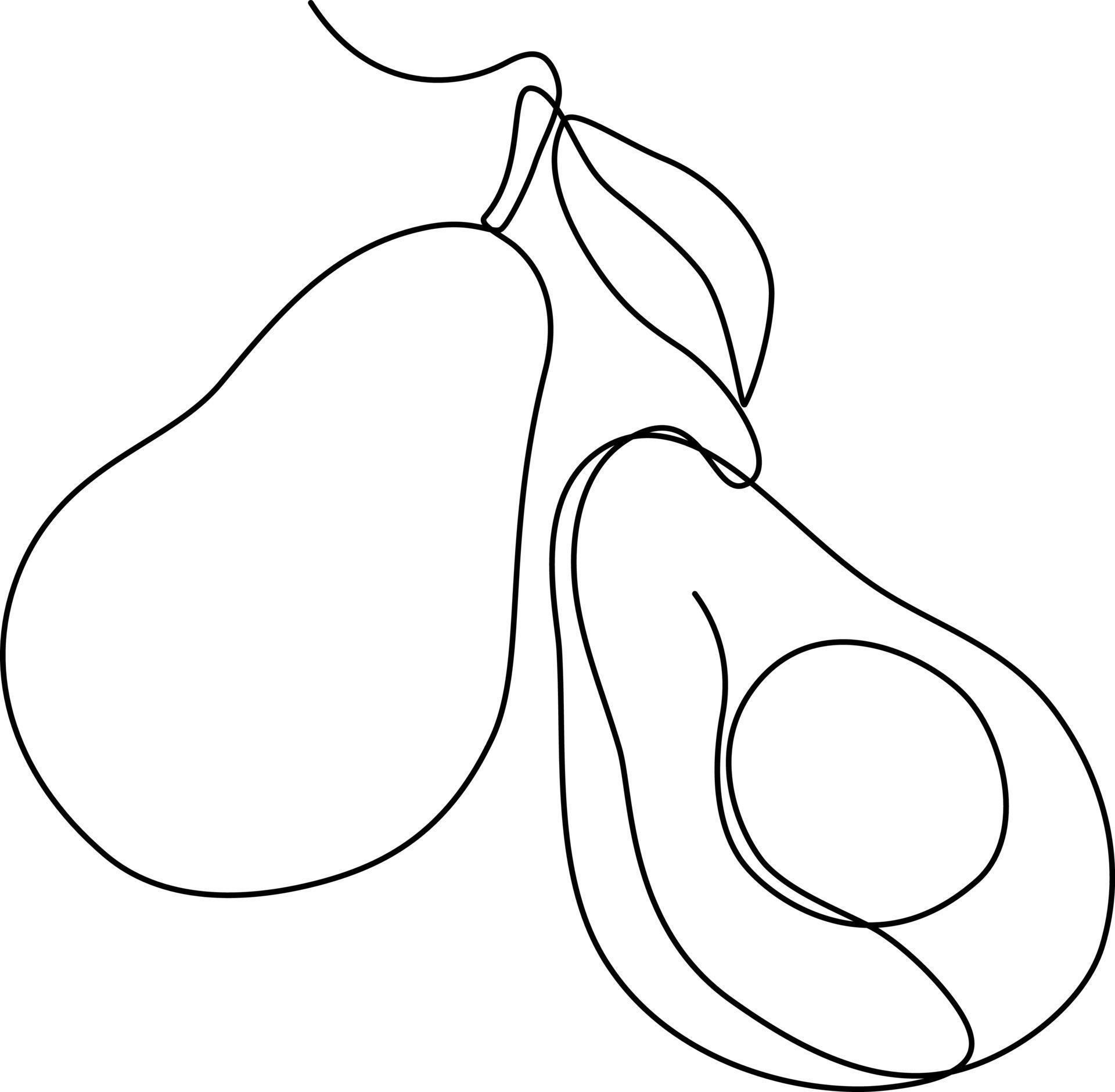 Avocado continuous line drawing vector 15190841 Vector Art at Vecteezy Avocado continuous line drawing vector 15190841 Vector Art at Vecteezy