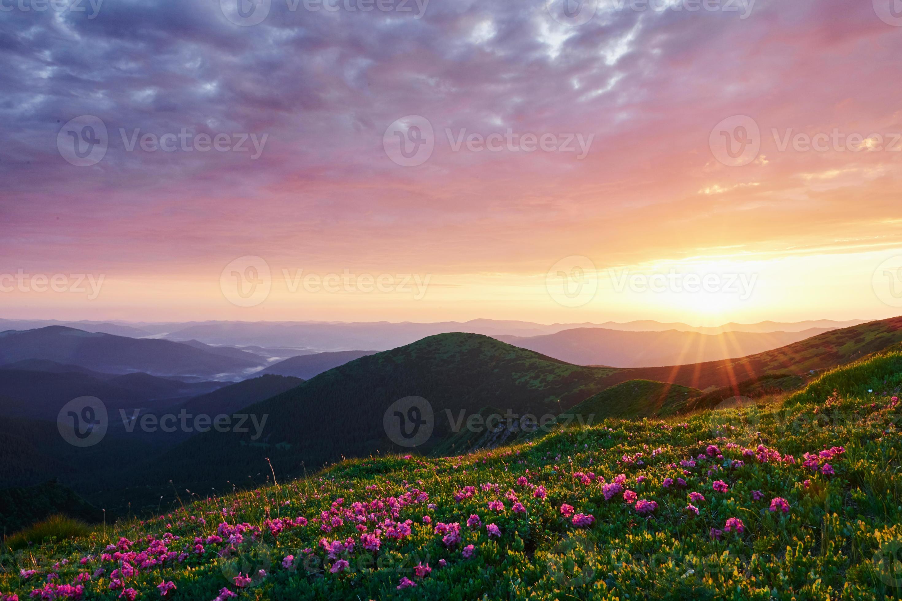 It's almost sunset. Majestic Carpathian mountains. Beautiful landscape ...