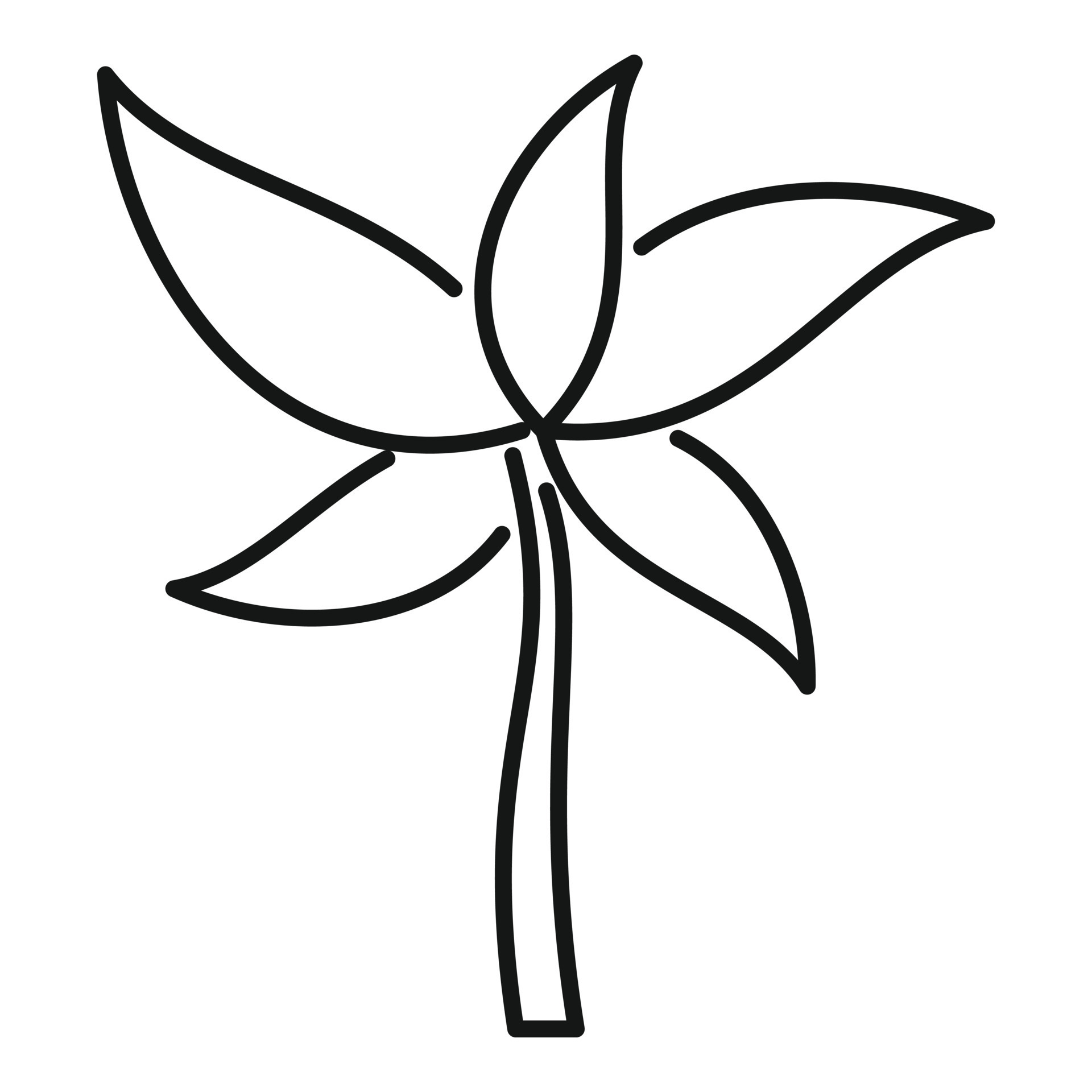 Palm icon outline vector. Coconut tree 15204892 Vector Art at Vecteezy Palm icon outline vector. Coconut tree 15204892 Vector Art at Vecteezy