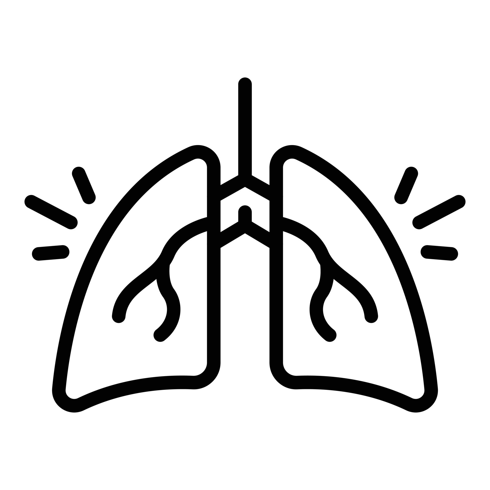 Healthy Lungs Icon Outline Vector Human Health 15214076 Vector Art At