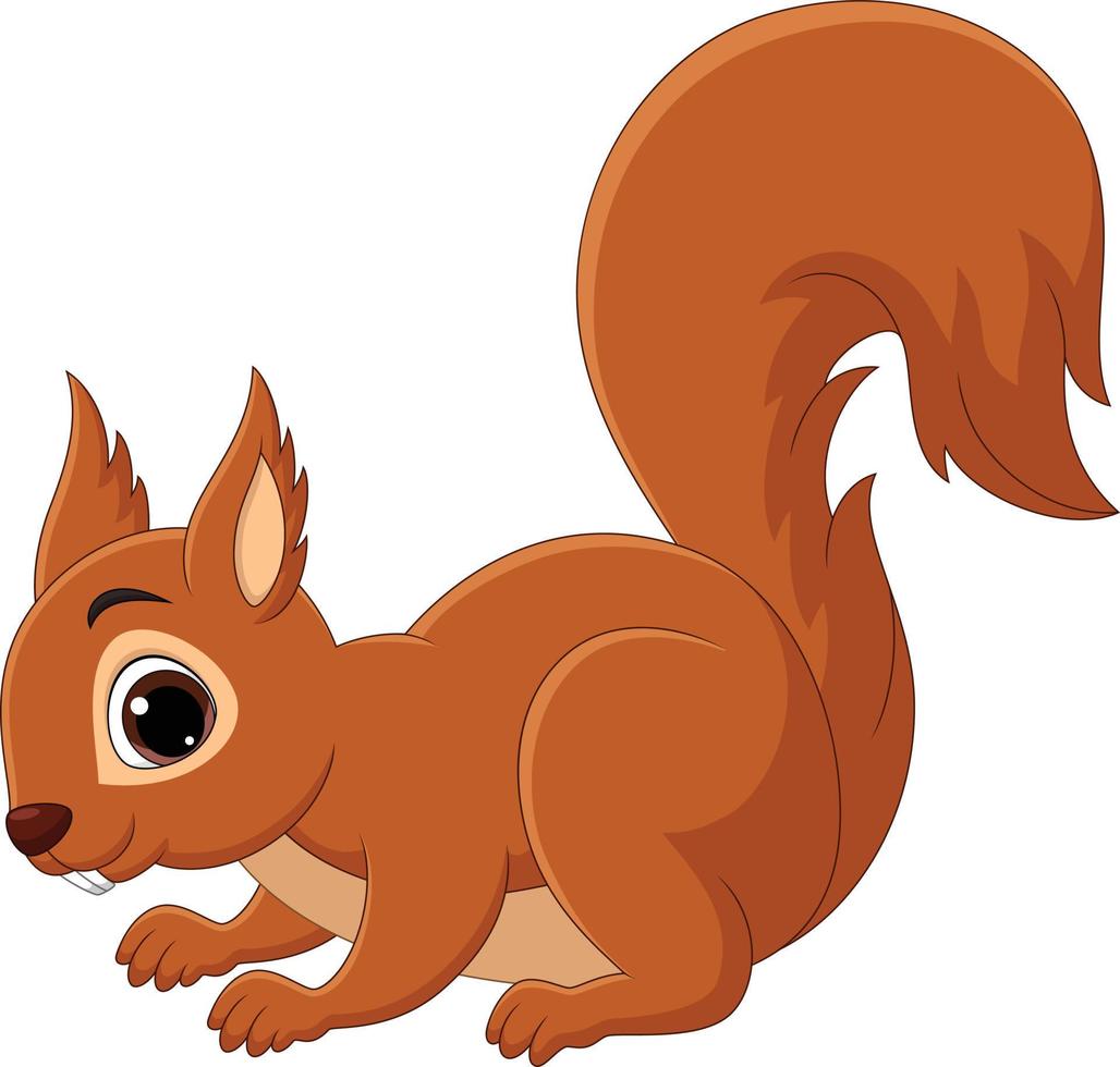 Cartoon Happy Squirrel Isolated On White Background 15219670 Vector Art