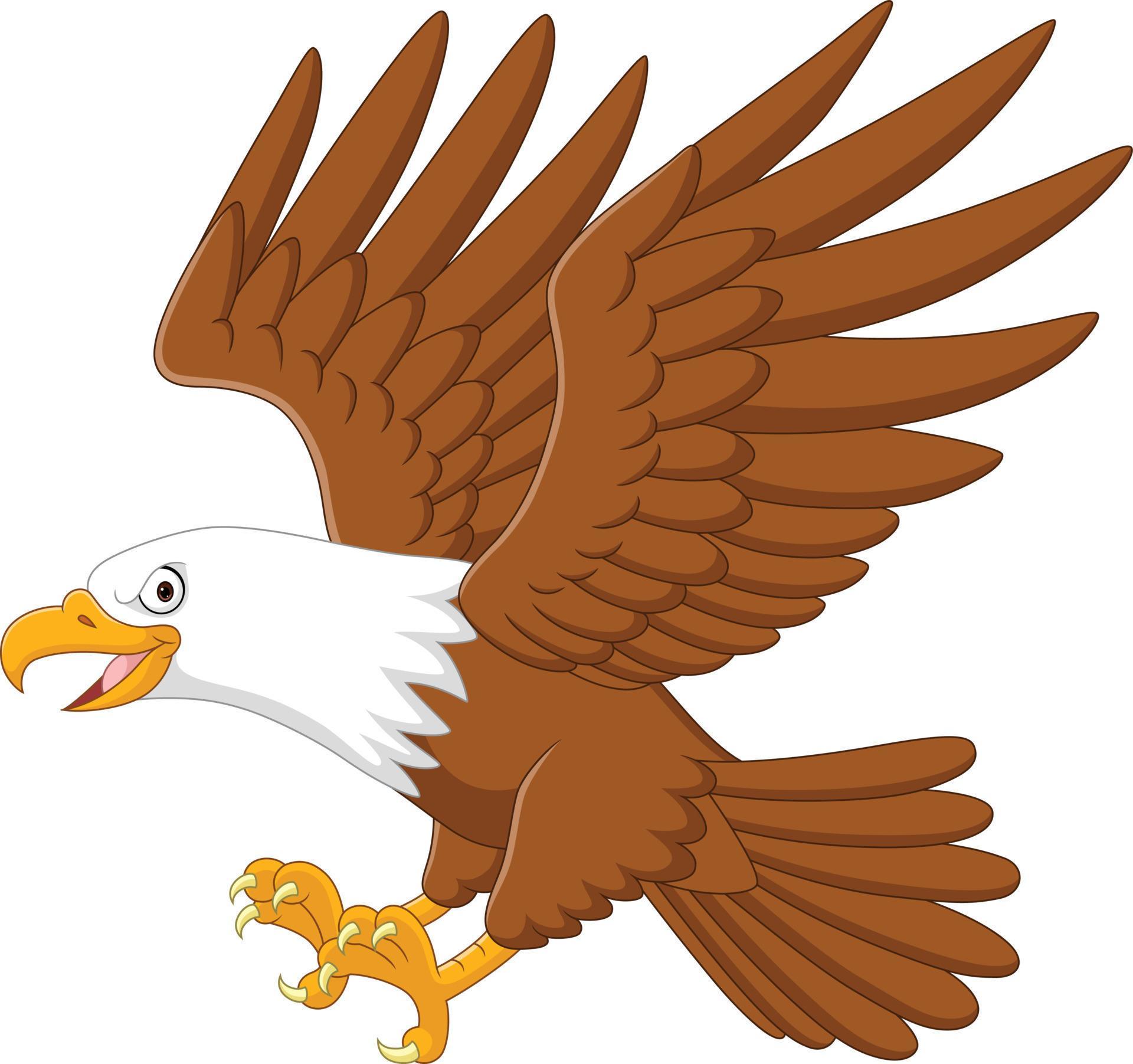 águila De Dibujos Animados Volando Sobre Fondo Blanco 15219709 Vector En Vecteezy
