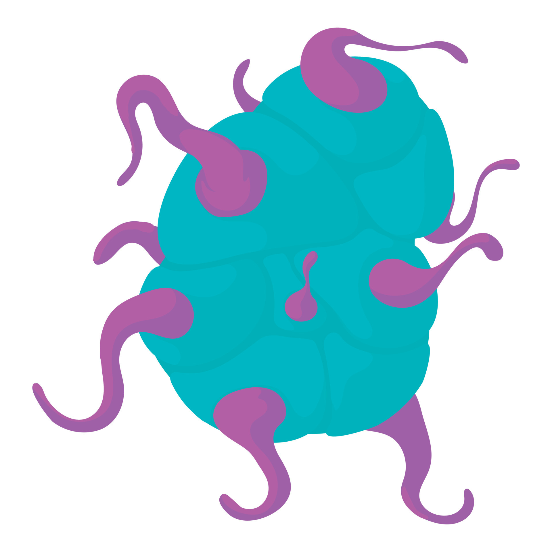 Spiral Bacteria spiral-bacteria