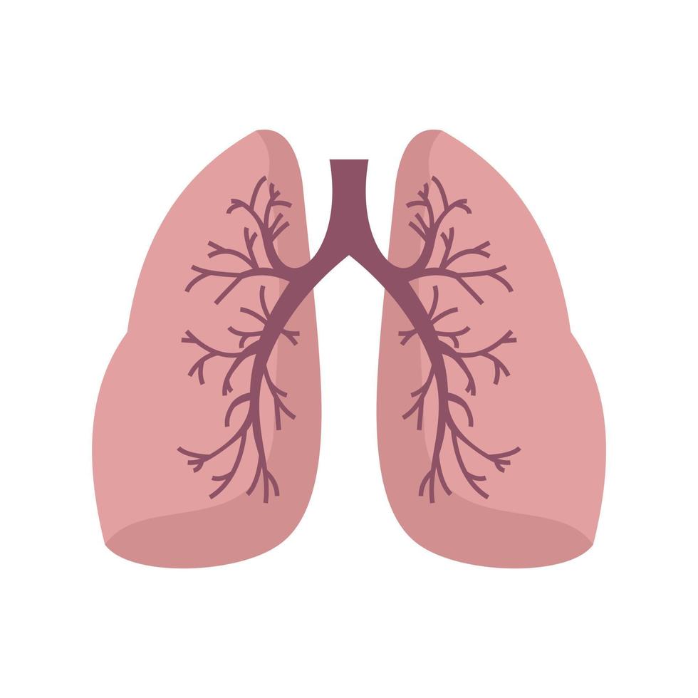 Lungs icon, flat style 15228188 Vector Art at Vecteezy Lungs icon, flat style 15228188 Vector Art at Vecteezy
