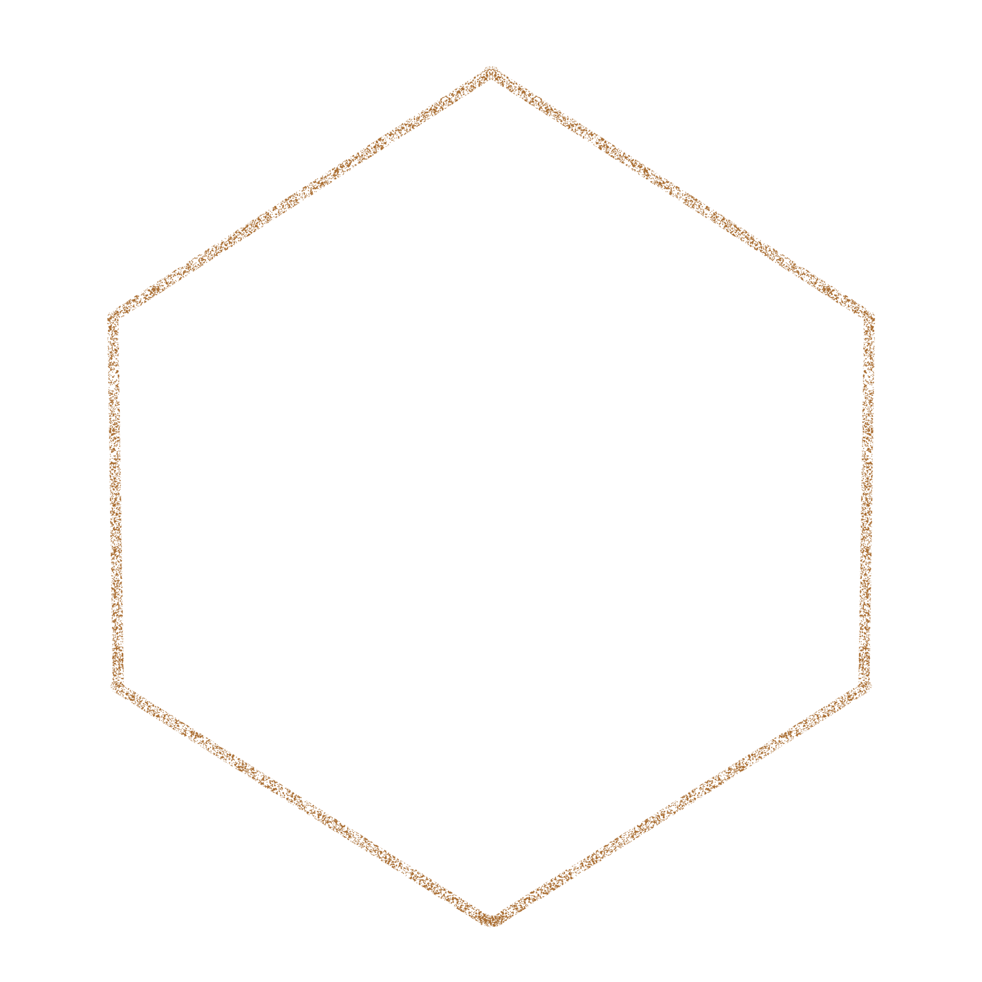 Hexagon Floral Frame Stroke Transparent Png Svg Vecto - vrogue.co Hexagon Floral Frame Stroke Transparent Png Svg Vecto - vrogue.co