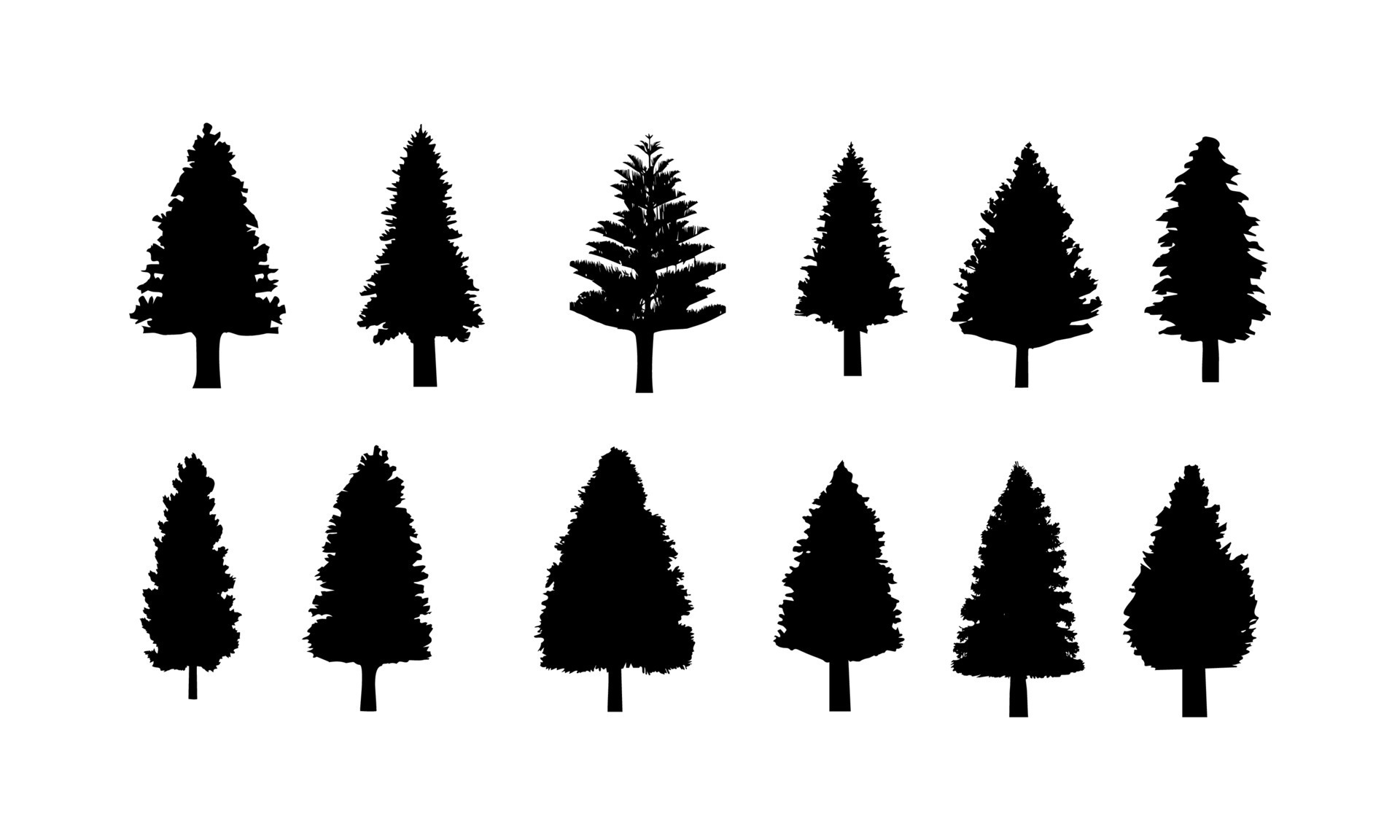 Pine Tree Silhouette 15272580 Vector Art at Vecteezy
