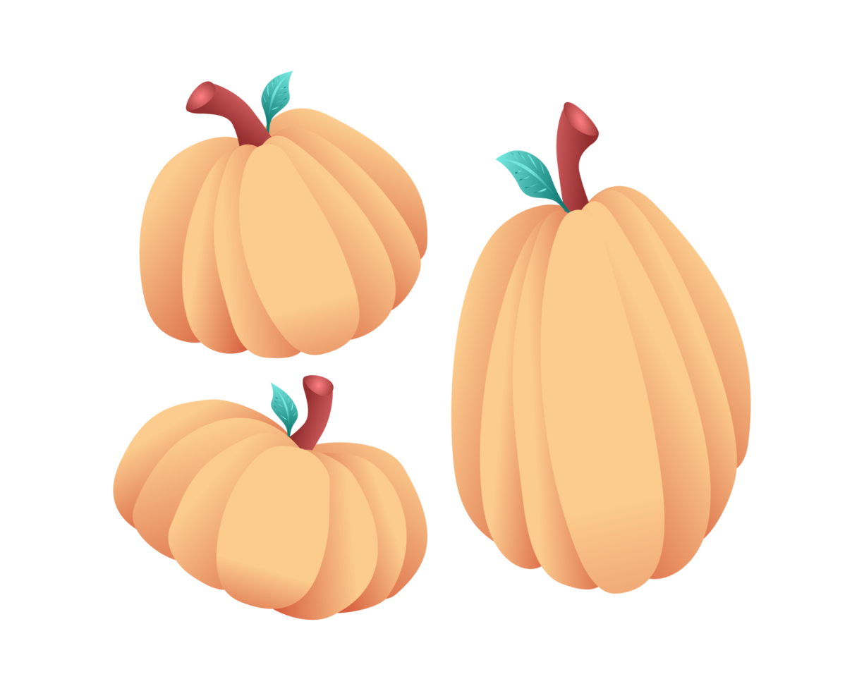 Three Pumpkin Drawing Transparent Background 15276041 PNG Three Pumpkin Drawing Transparent Background 15276041 PNG