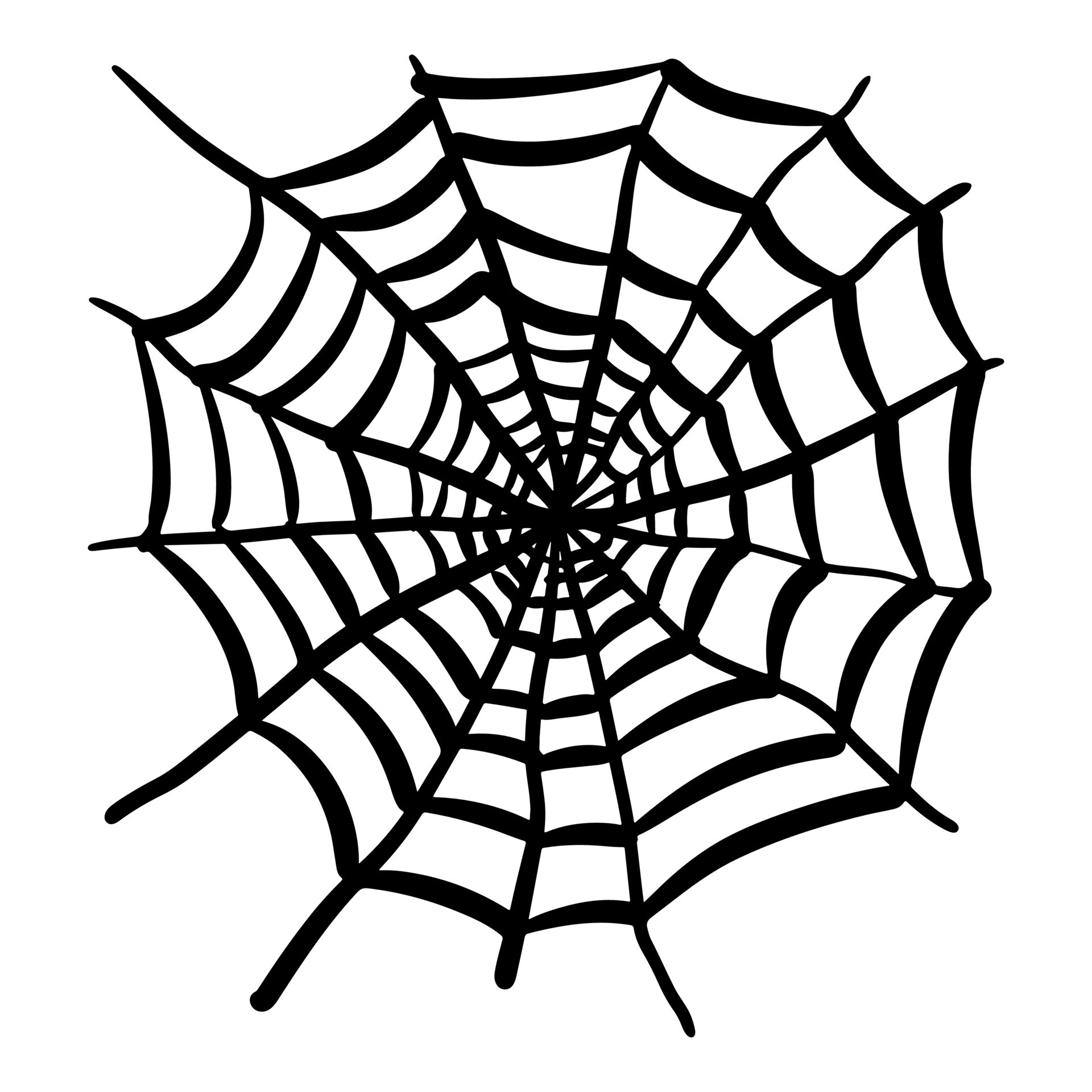 Doodle Sketch Style Of Spider Webs Hand Drawn Illustration For Concept Doodle Sketch Style Of Spider Webs Hand Drawn Illustration For Concept