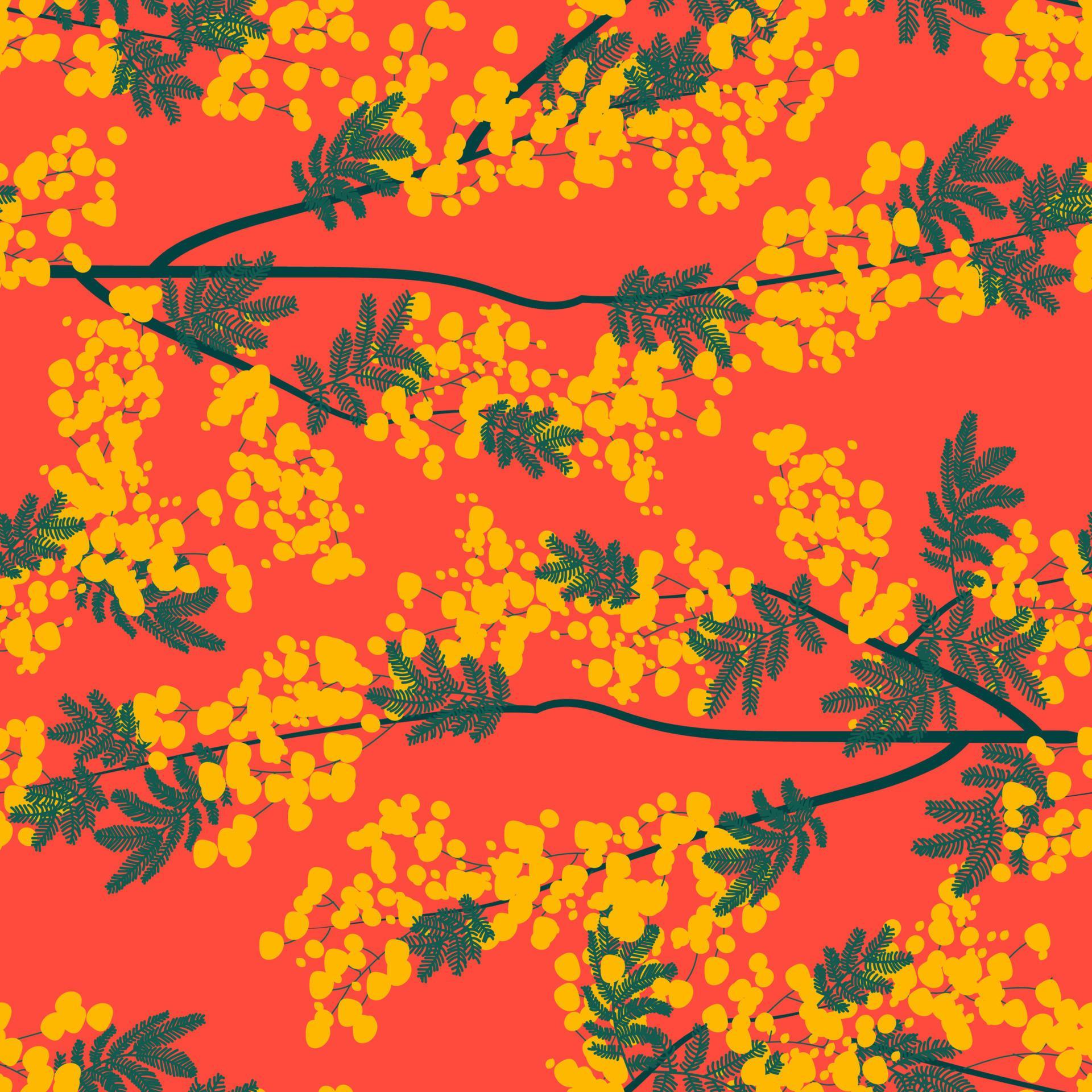 Botanical seamless pattern with yellow mimosa flowers and leaves on a ...