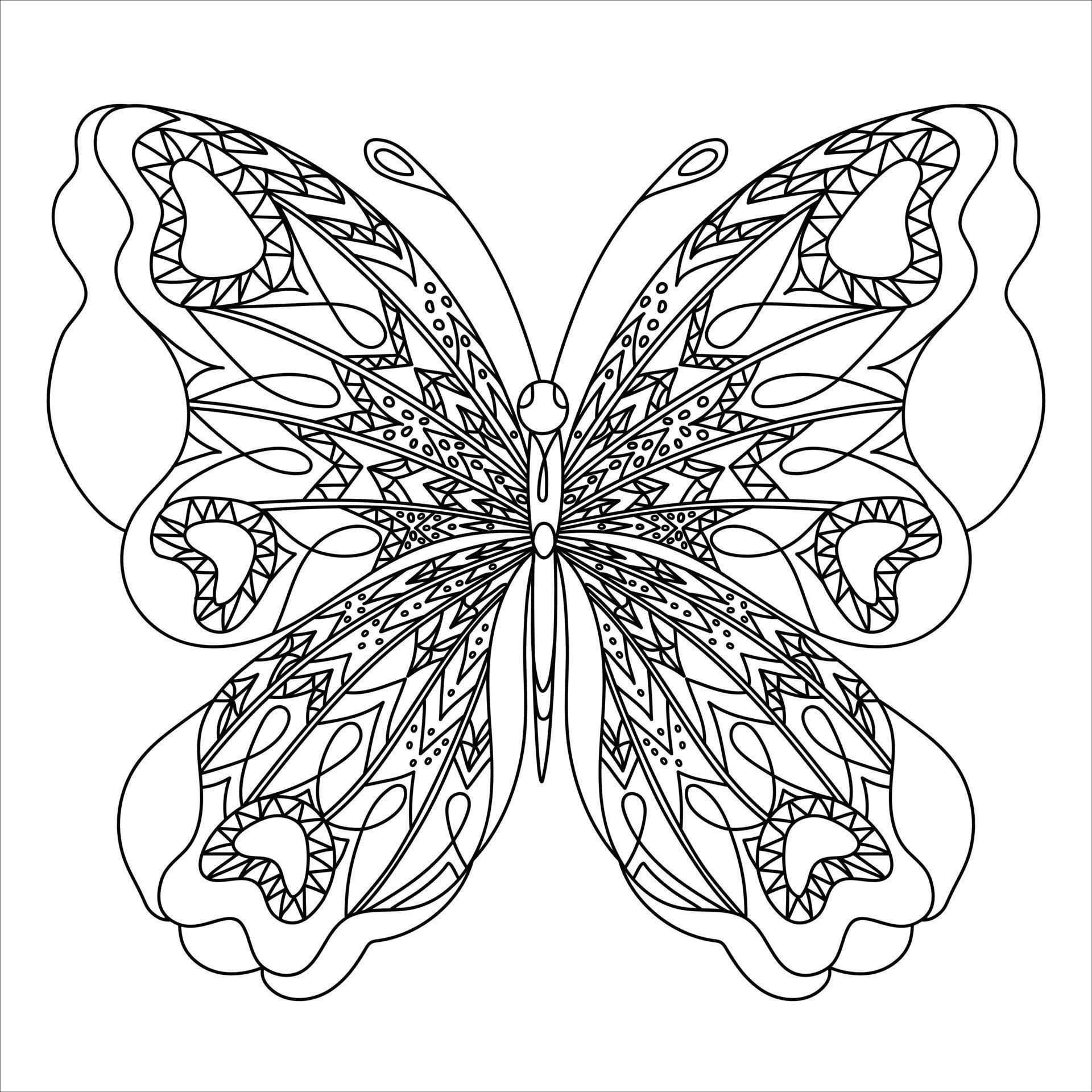 Butterfly. Coloring page in zentangle style. 15280467 Vector Art at ...