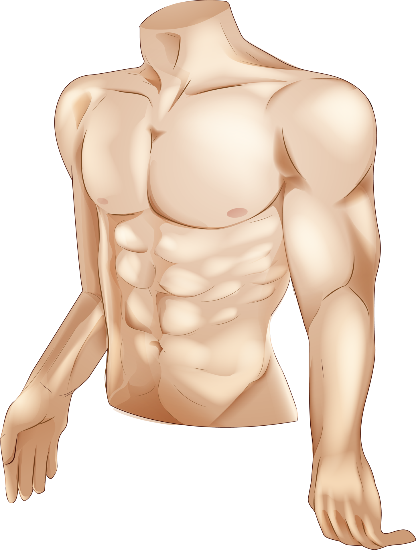 Top 115 Anime Body Types Ceg edu vn top-115-anime-body-types-ceg-edu-vn