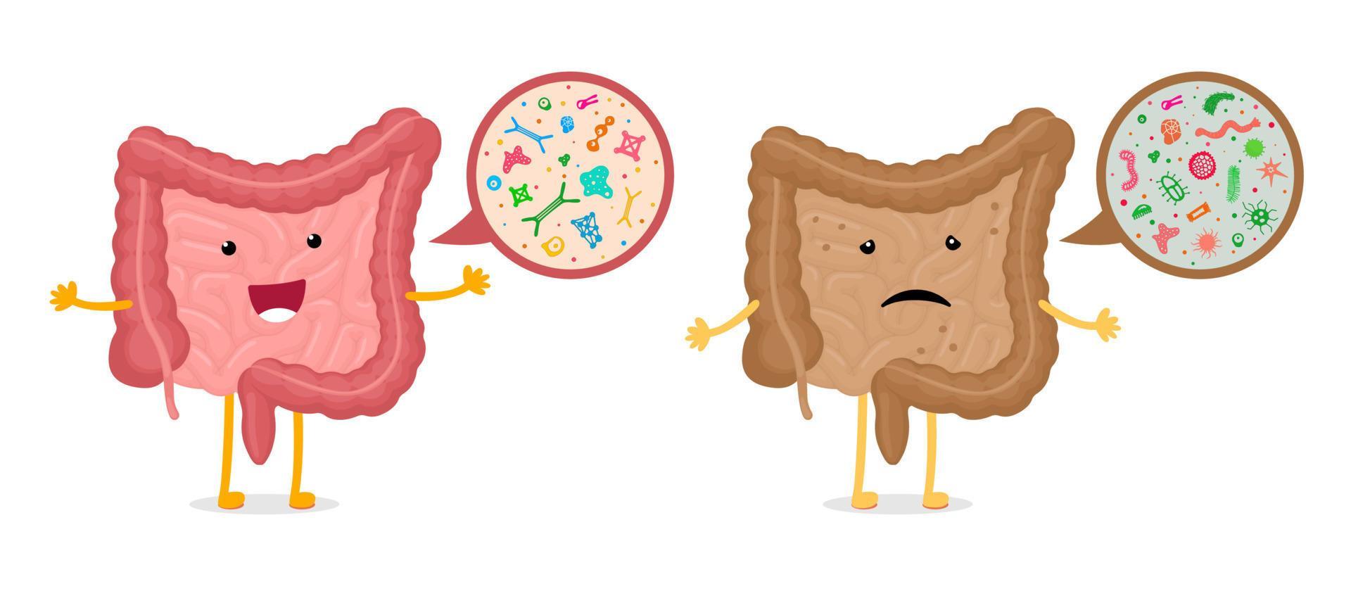 Intestines Character Microscopic Bacterias Magnification Comparison Human Intestine Mascot