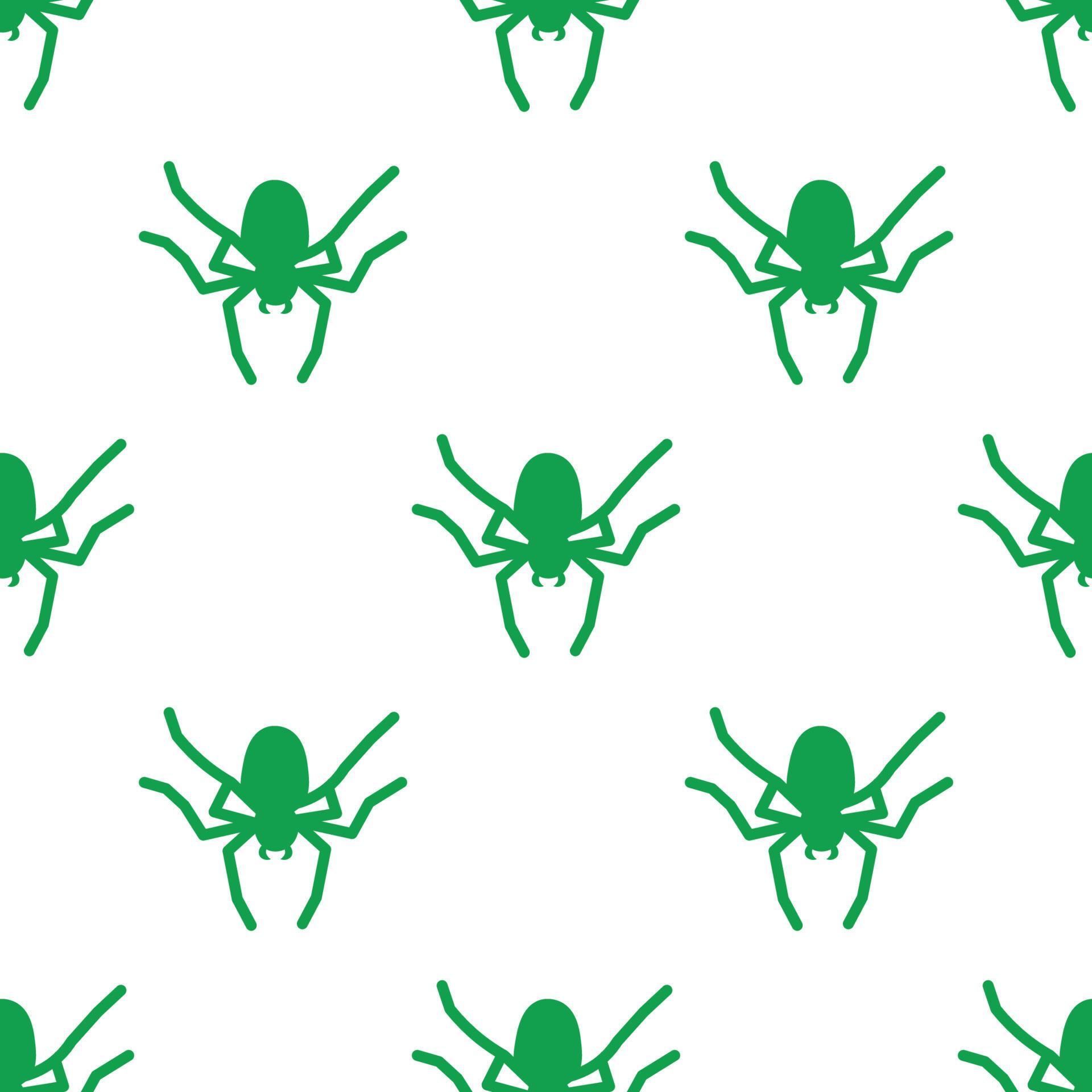 Spider vector seamless pattern on a white background. Insect pattern ...