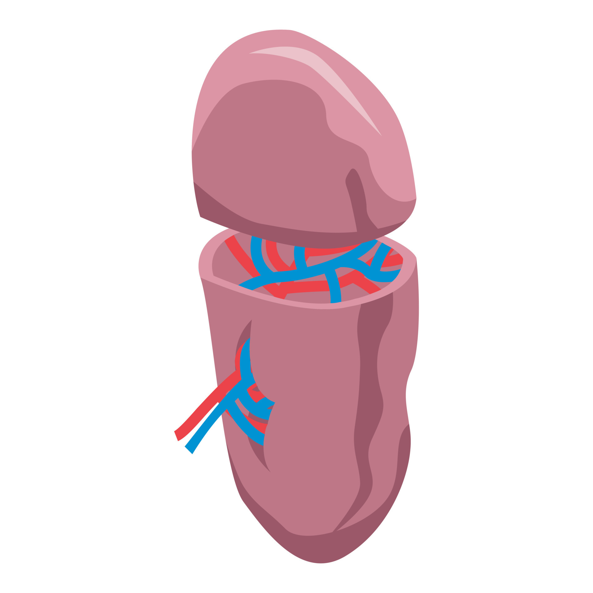 Spleen Section Icon Isometric Style 15378509 Vector Art At Vecteezy