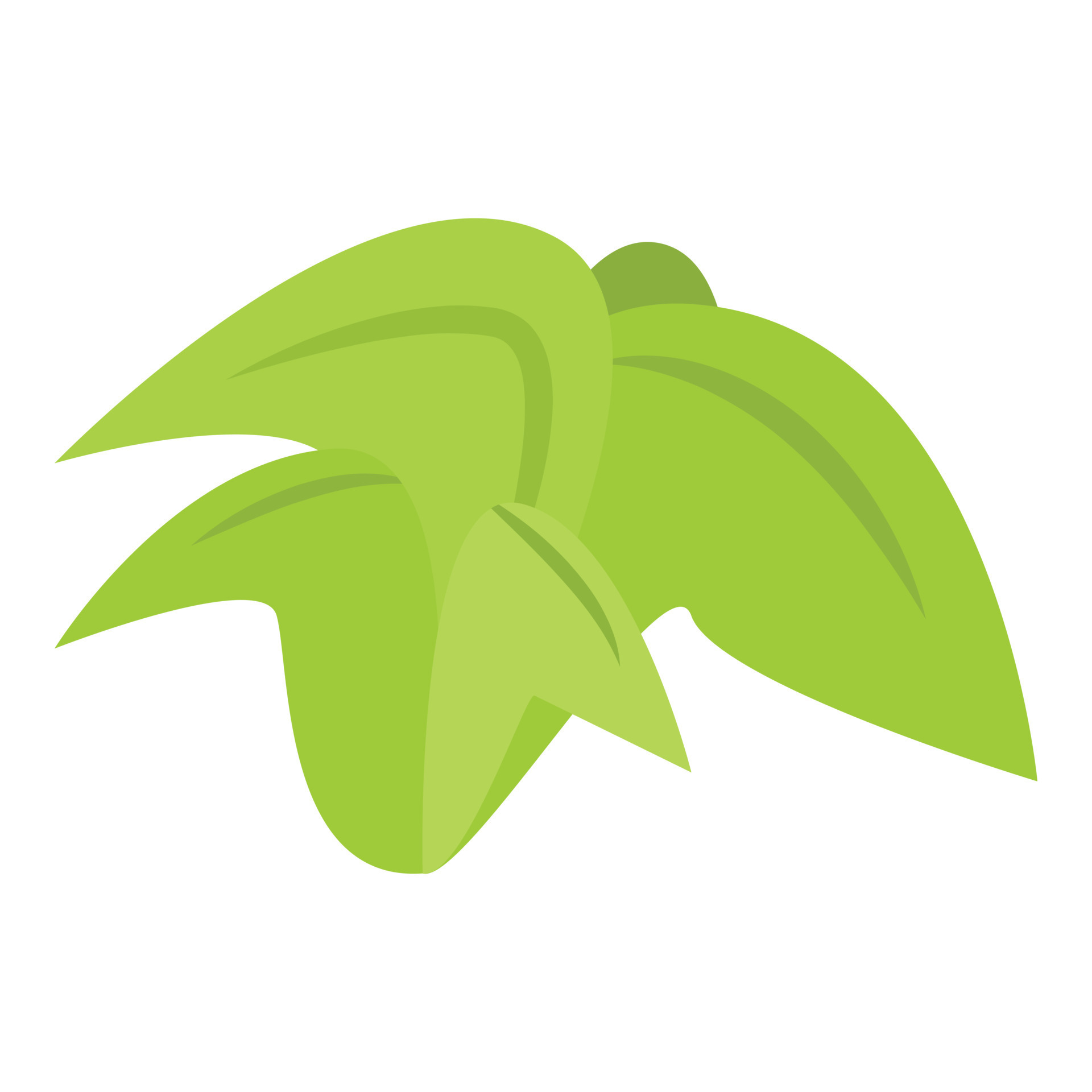 Palm tree leaf icon, isometric style 15387340 Vector Art at Vecteezy Palm tree leaf icon, isometric style 15387340 Vector Art at Vecteezy