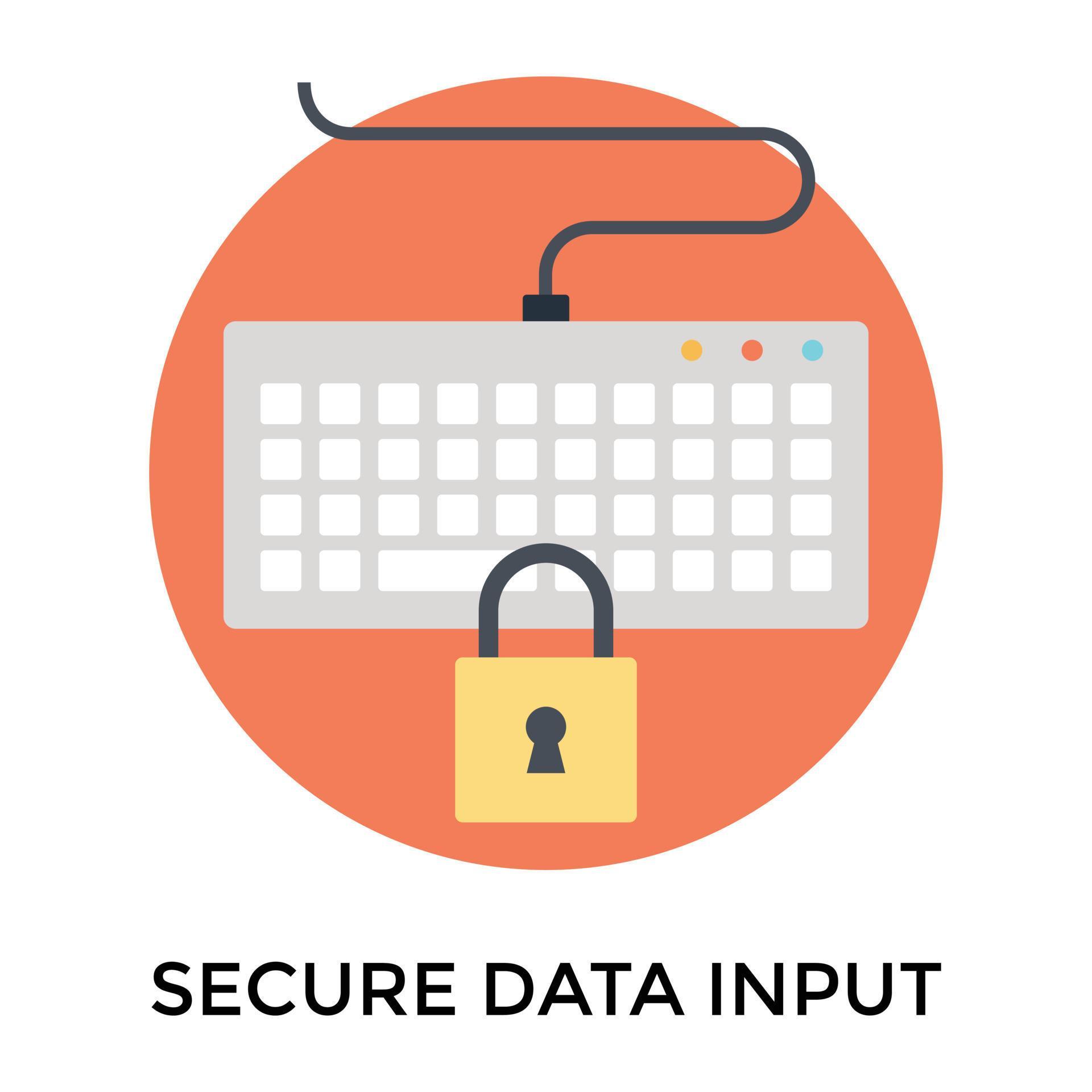 Secure Data Input 15399929 Vector Art at Vecteezy