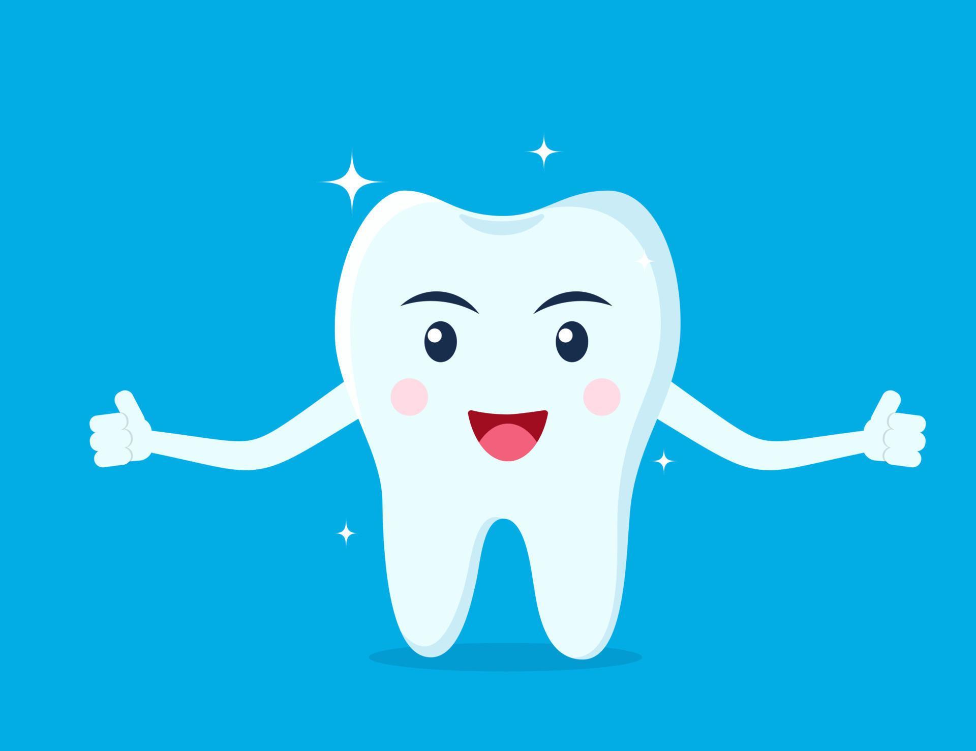 Healthy Happy Tooth Character Smiling And Showing Ok Vector
