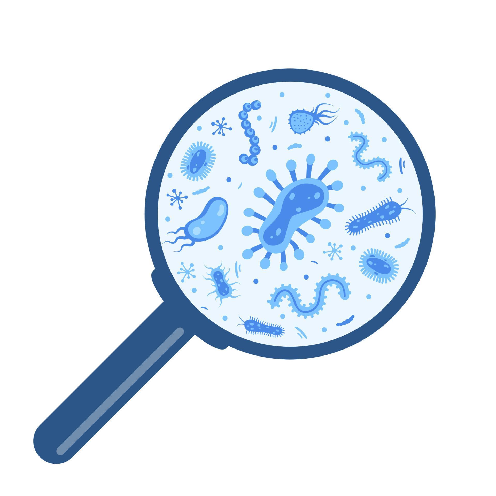 Different bacteria, pathogenic microorganisms under a magnifying glass ...