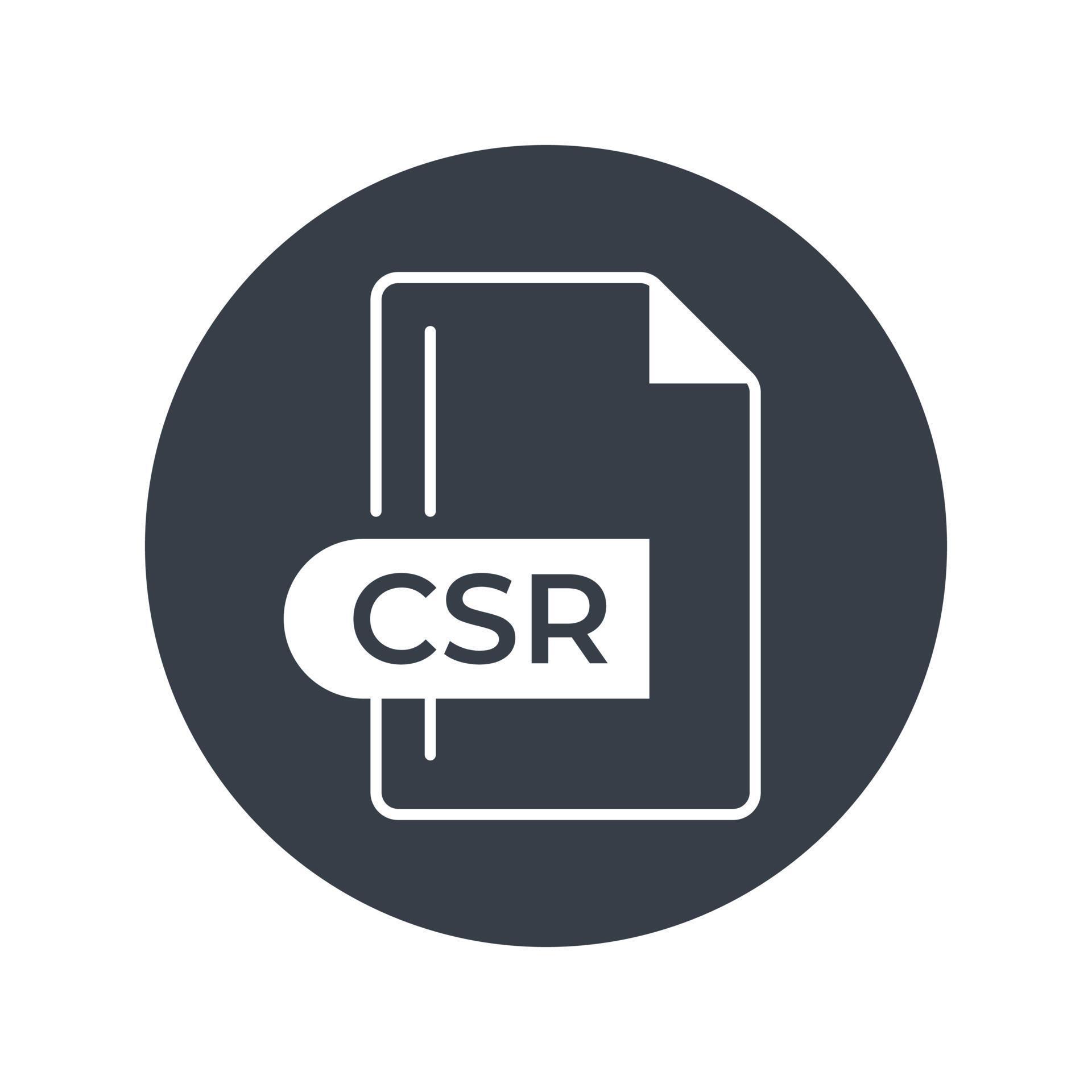 CSR File Format Icon. CSR extension filled icon. 15426386 Vector Art at ...