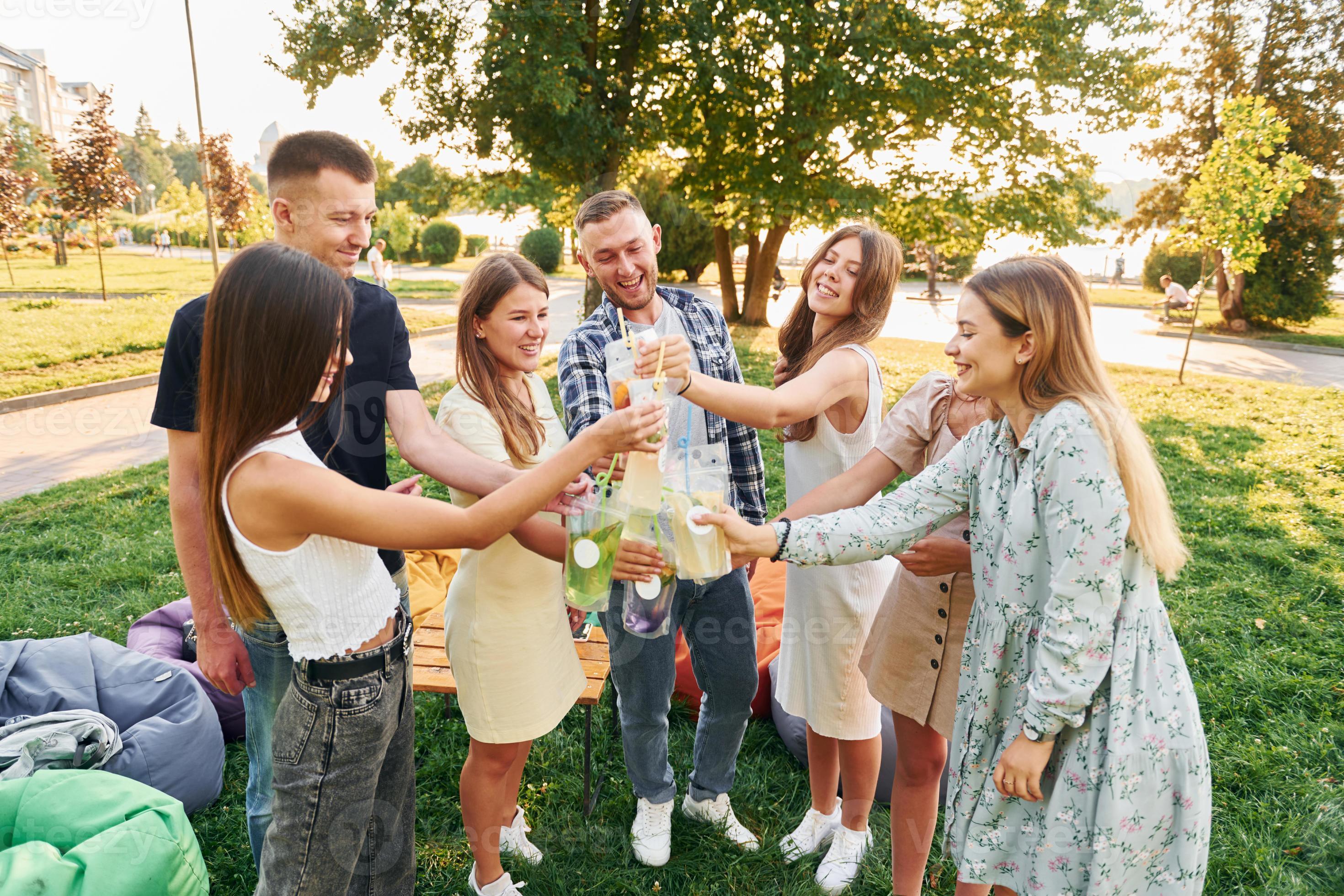 Having a drink. Group of young people have a party in the park at summer daytime 15459850 Stock ...
