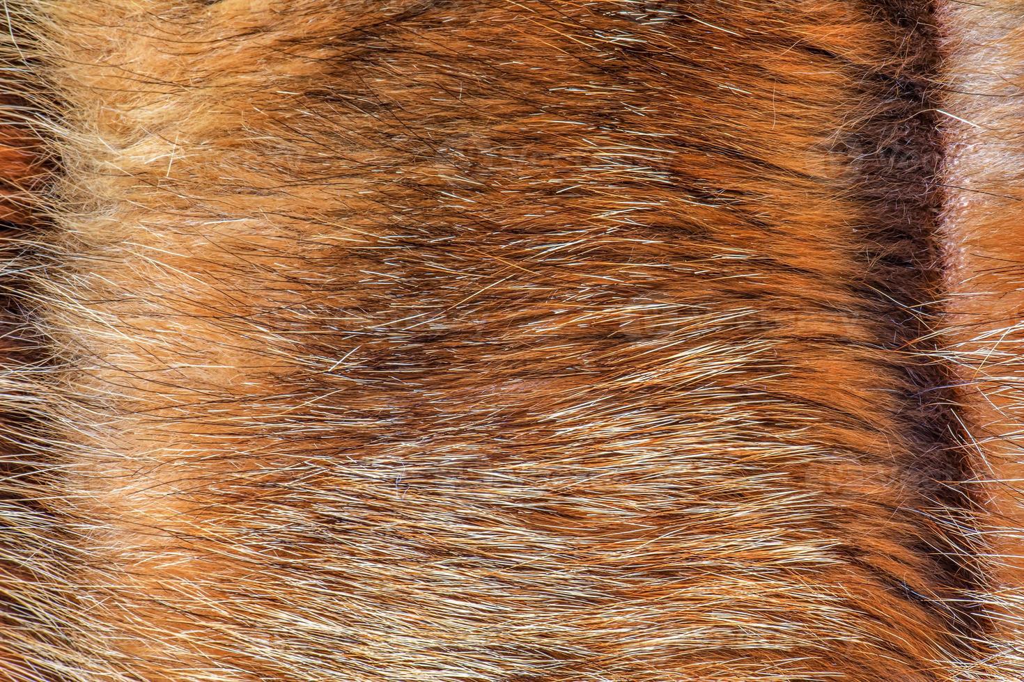 Fox fur close up. Redhead animal fur background, fur pile texture ...