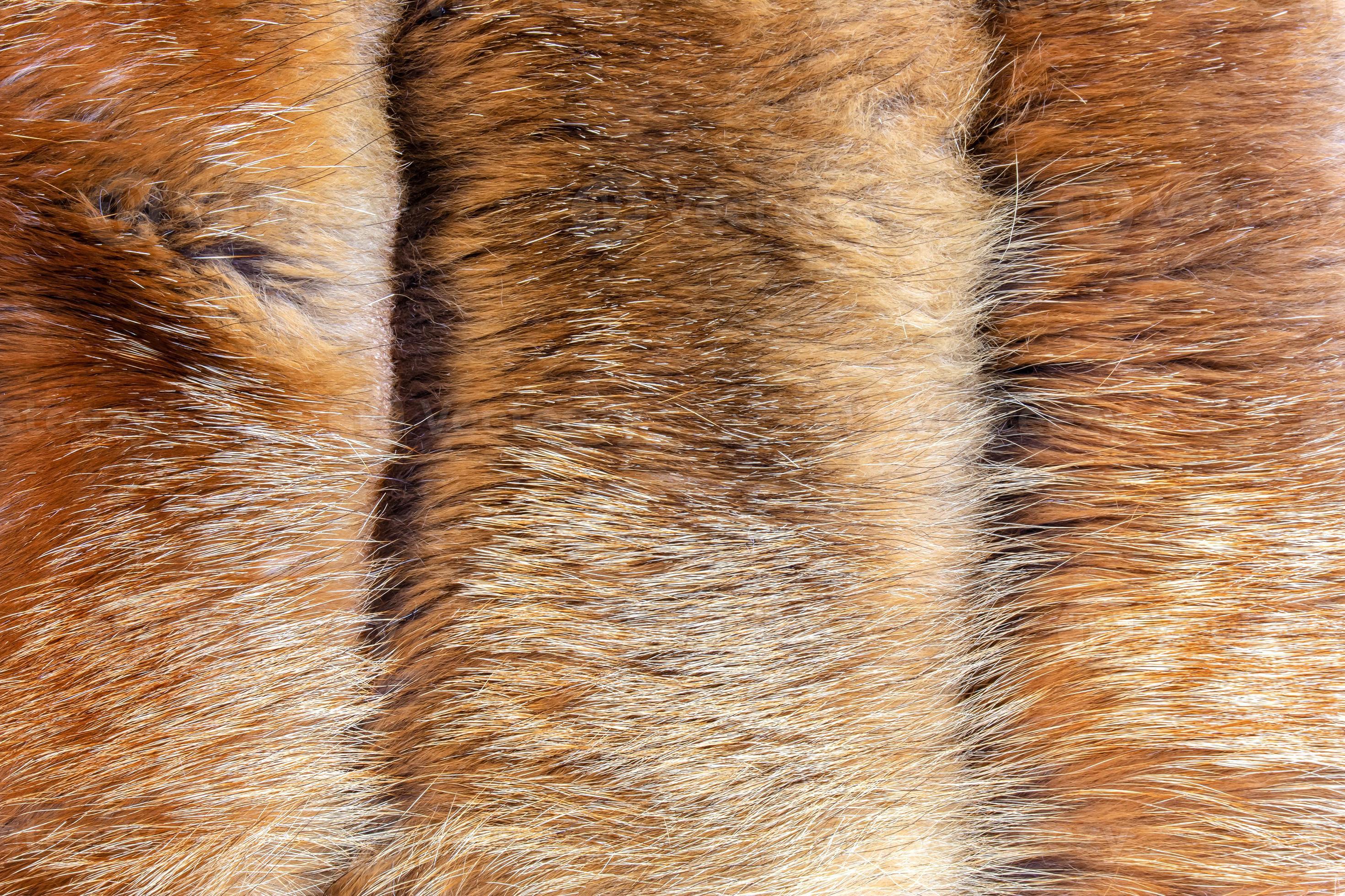 Fox fur close up. Redhead animal fur background, fur pile texture ...