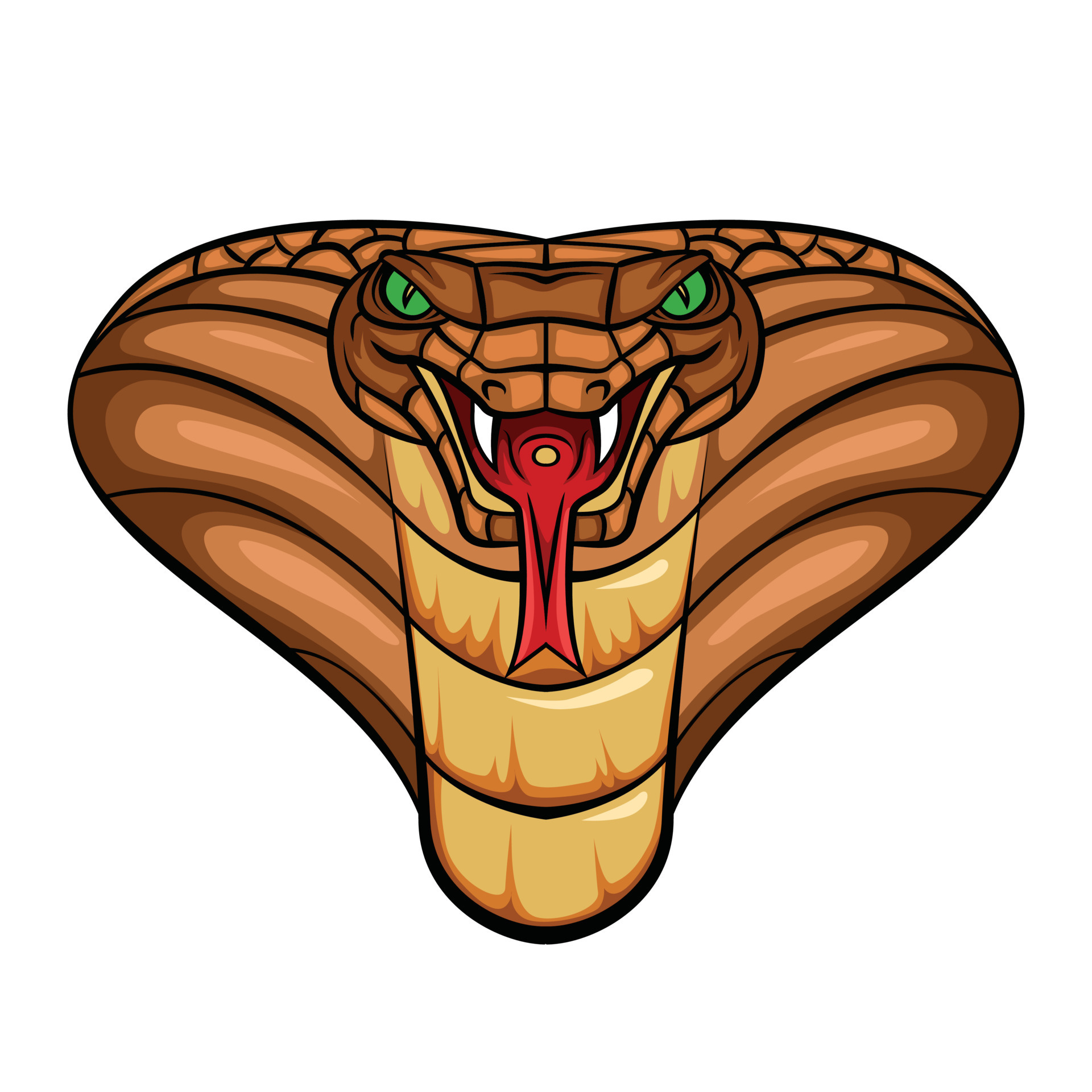 Cobra Vector Illustration 15547707 Vector Art at Vecteezy Cobra Vector Illustration 15547707 Vector Art at Vecteezy