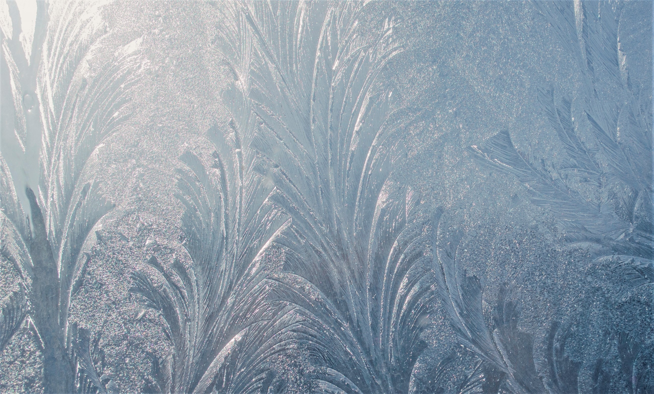 Frosted Glass Pattern Stock Photos, Images and Backgrounds for Free Download