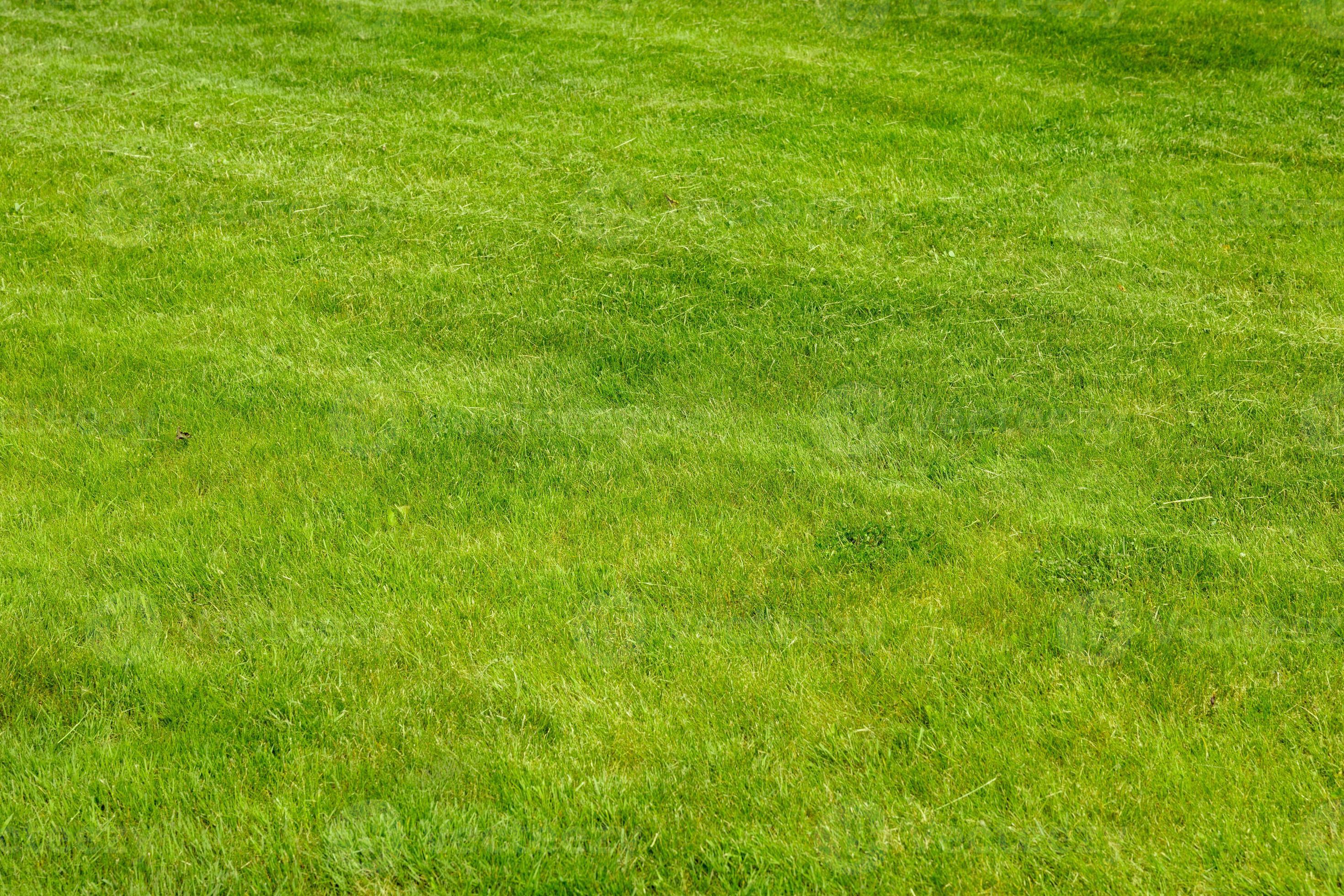 Perfectly And Freshly Mowed Garden Lawn In Summer Close Up View Of Green Grass Natural