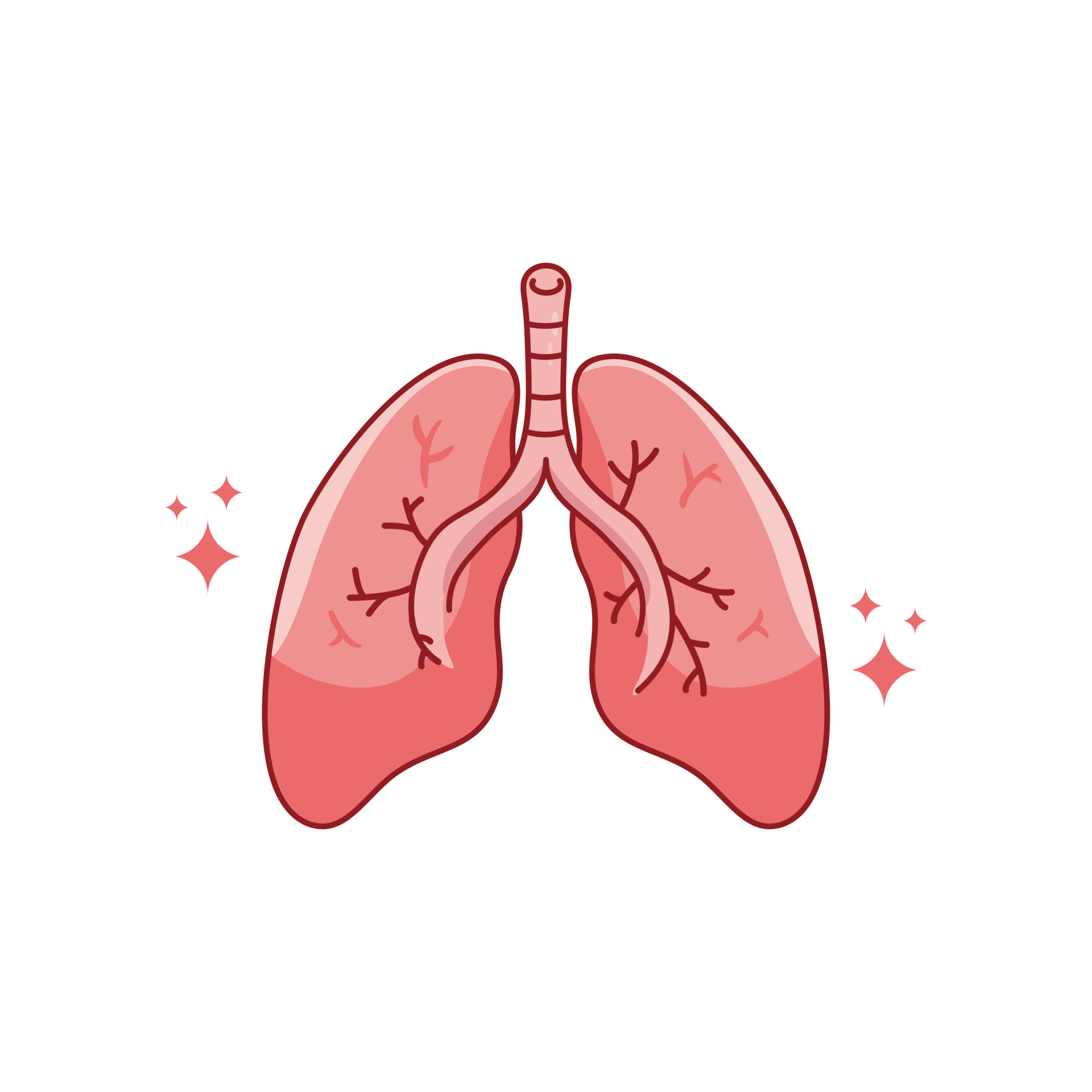 Lungs Cartoon Vector Art, Icons, and Graphics for Free Download Lungs Cartoon Vector Art, Icons, and Graphics for Free Download