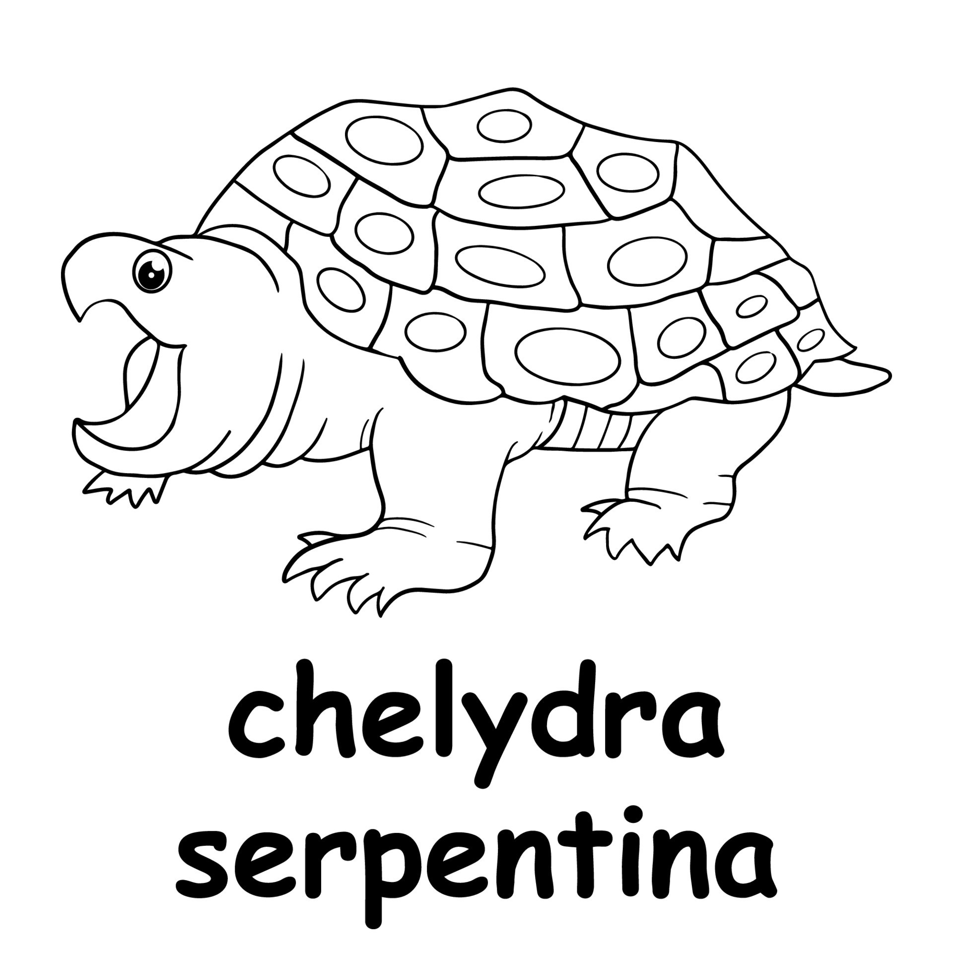 kids line illustration coloring chelydra serpentina. animal outline ... kids line illustration coloring chelydra serpentina. animal outline ...