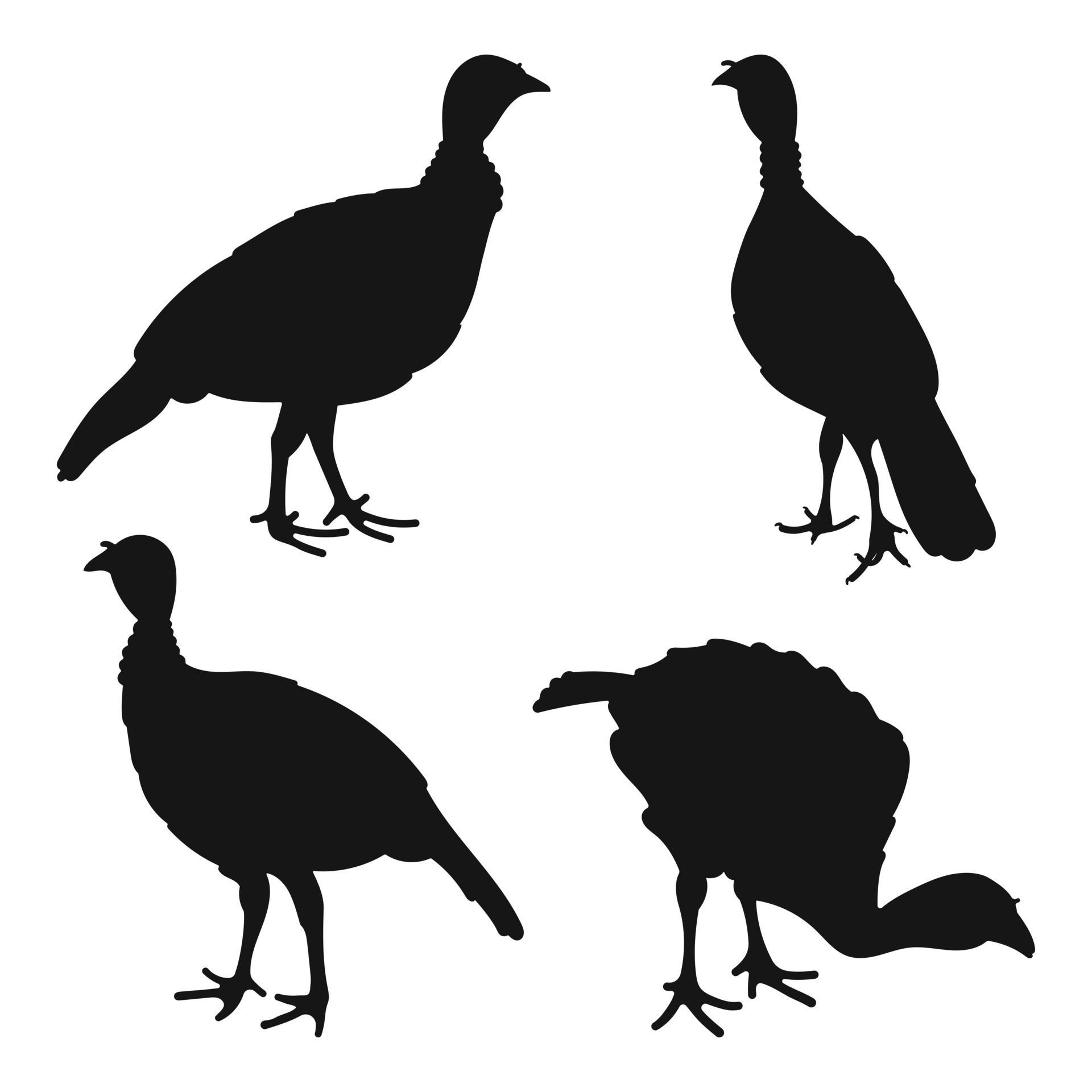 pavo, gobbler, posición de pie, conjunto de siluetas de aves dibujadas ...