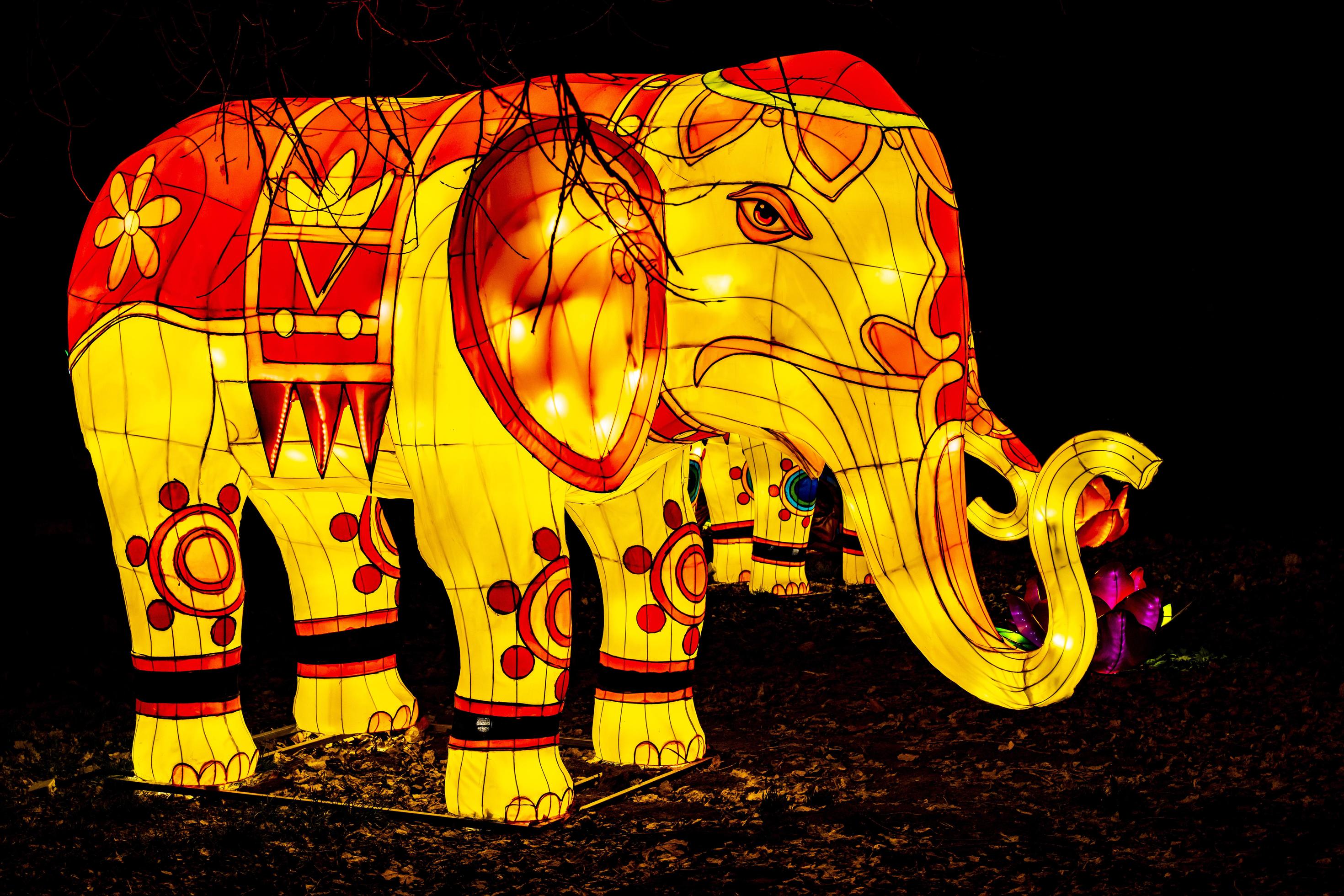 Chinese lantern company store