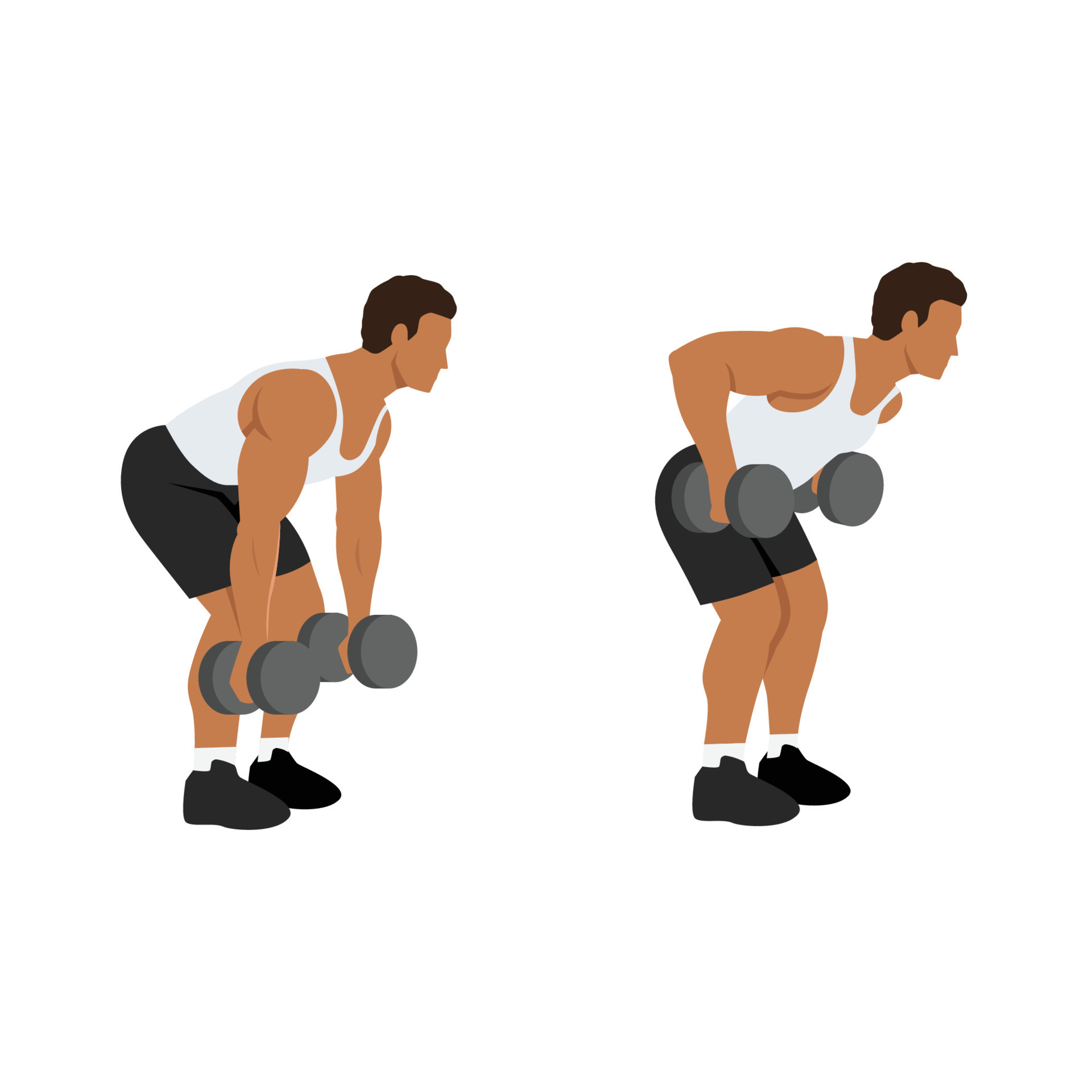 Man doing Dumbbell bent over rows exercise flat vector illustration ...