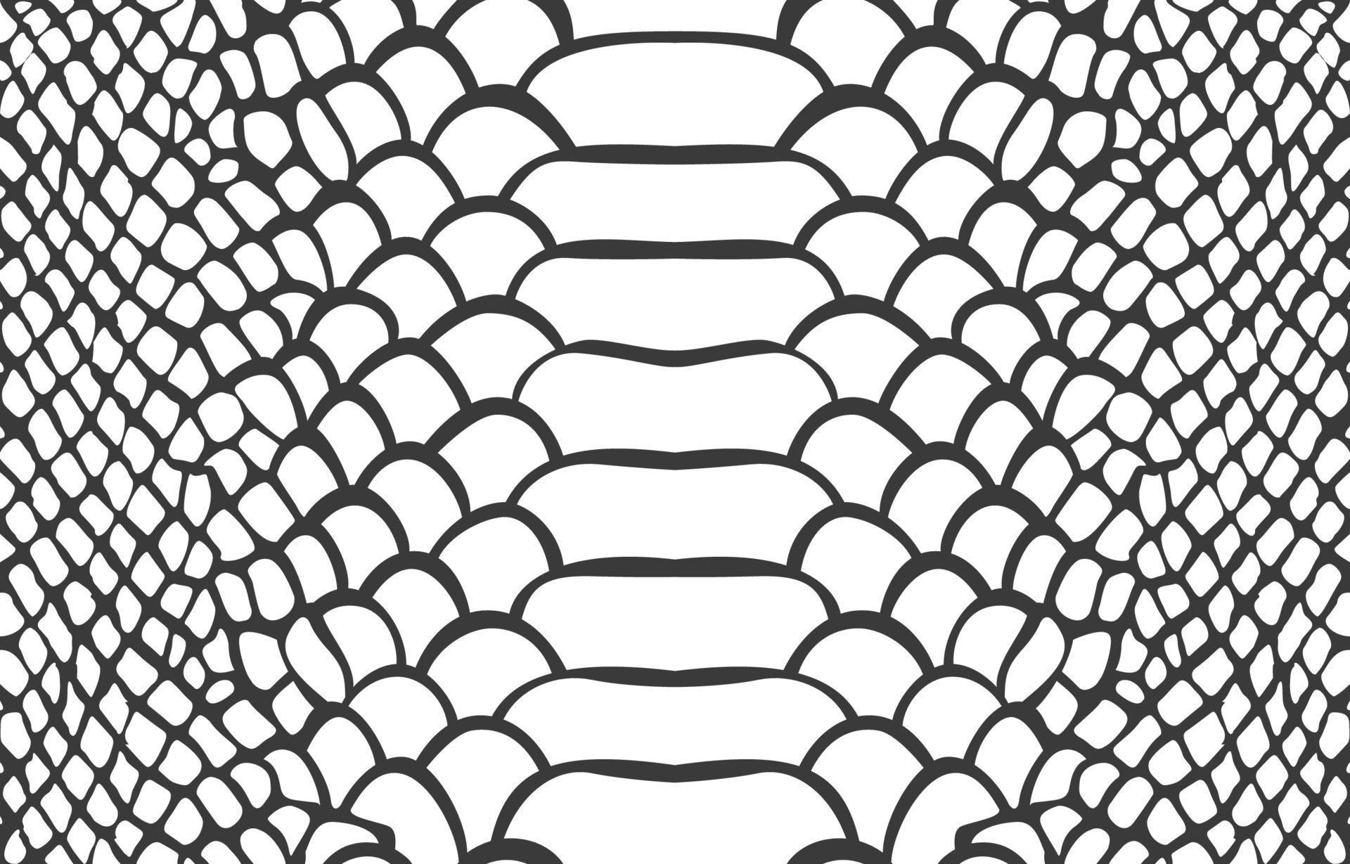 Seamless Green Snake Skin Pattern 15738567 Vector Art at Vecteezy