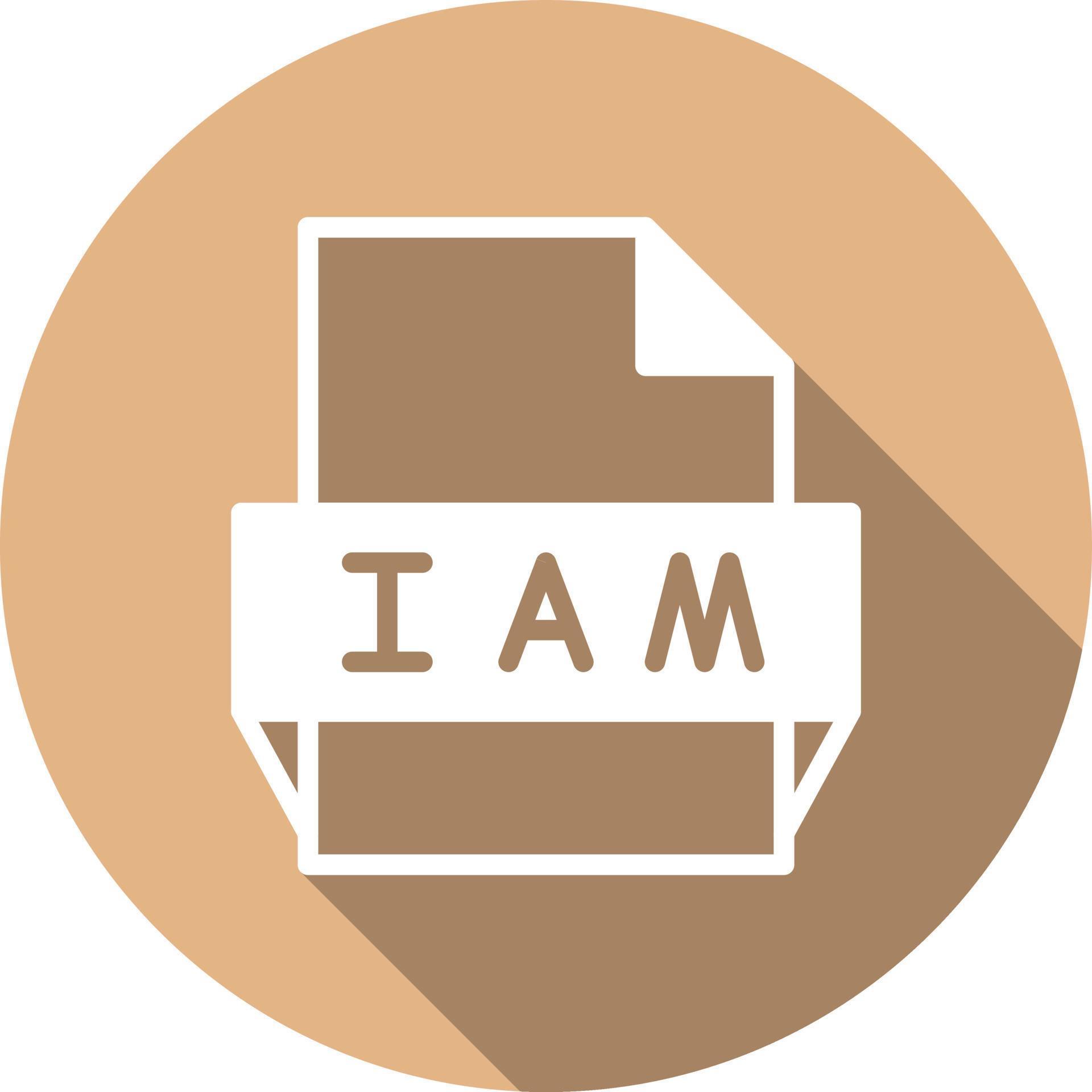 Iam File Format Icon 15824407 Vector Art At Vecteezy
