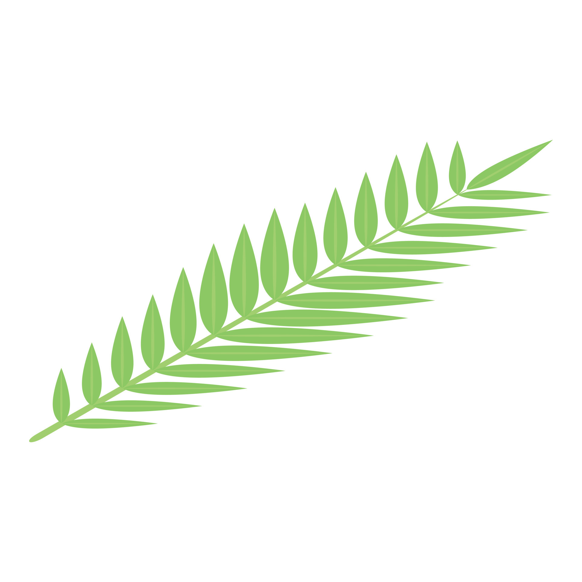Coconut tree leaf icon, isometric style 15914338 Vector Art at Vecteezy Coconut tree leaf icon, isometric style 15914338 Vector Art at Vecteezy