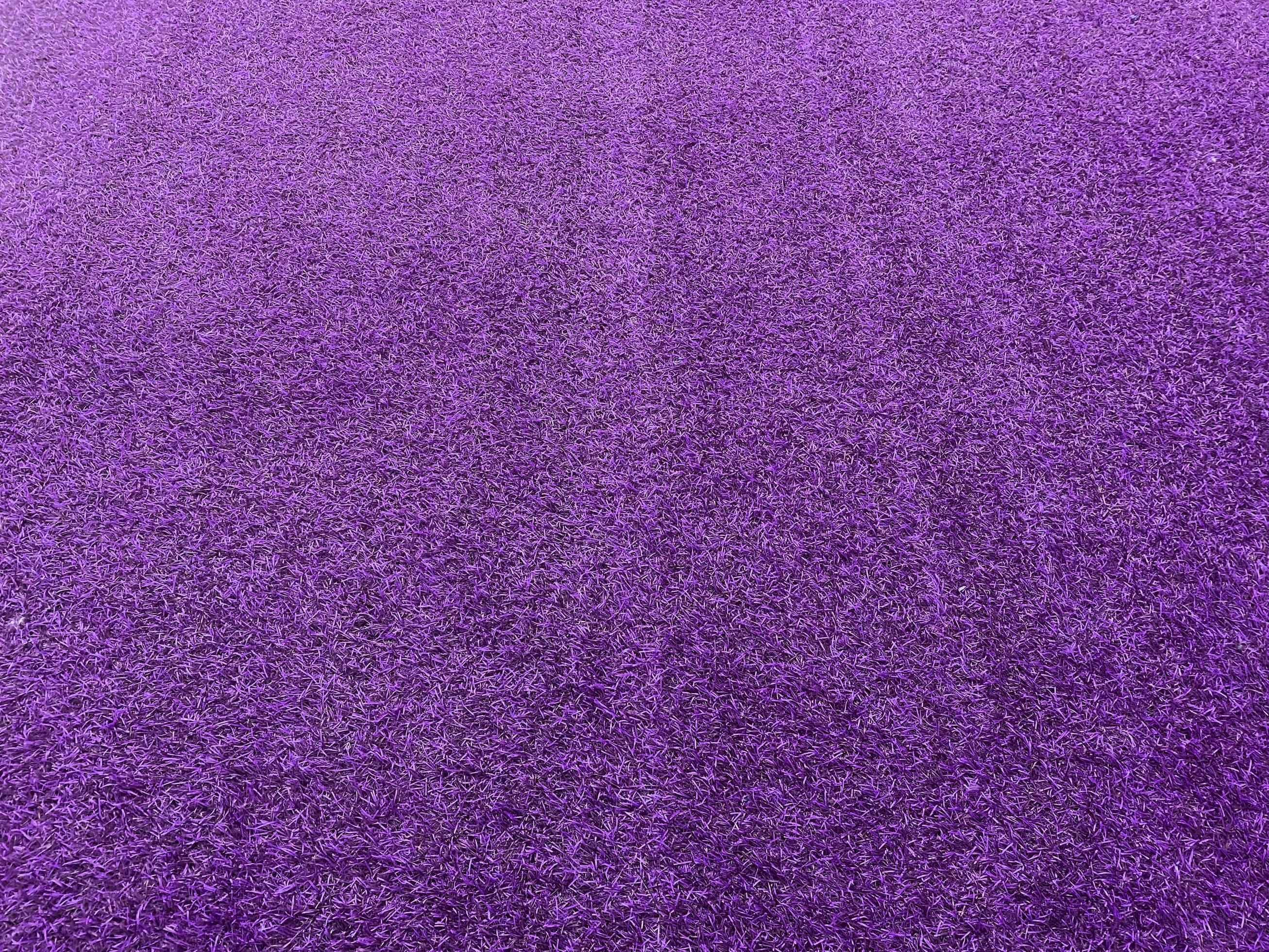 Lawn Purple Grass Texture Background Grass Garden Concept Used For Making Purple Background
