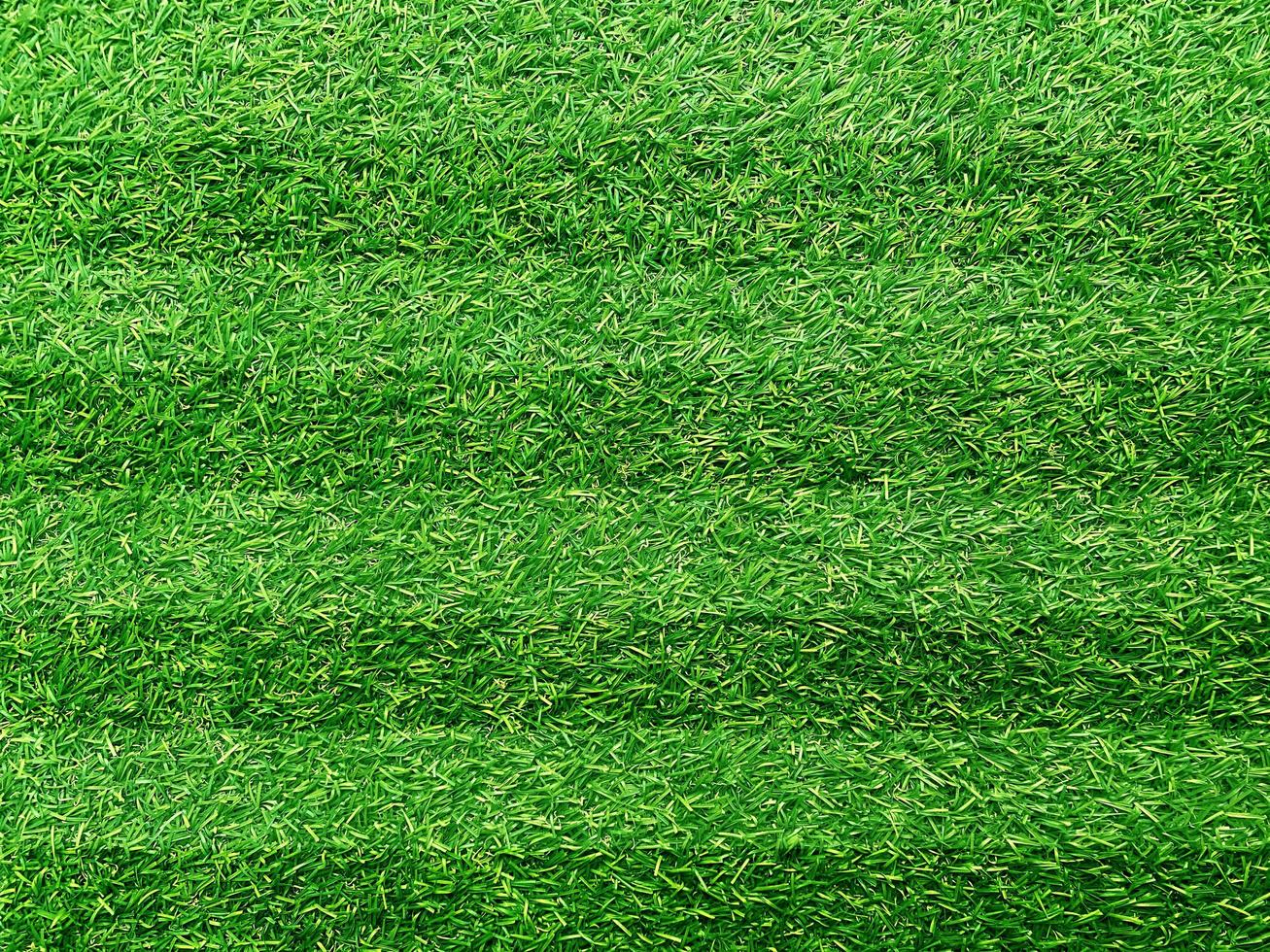 Green Grass Texture Background Grass Garden Concept Used For Making Green Background Football