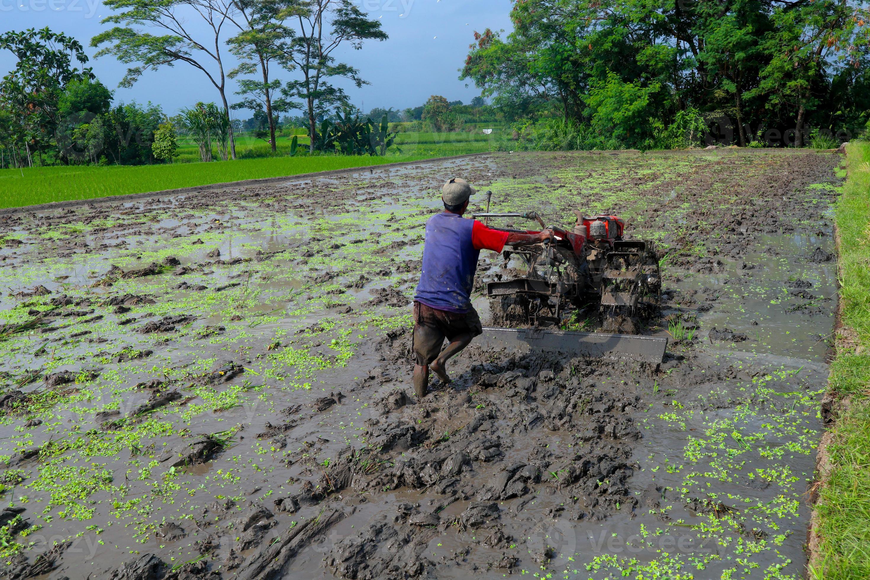 farmer plowing muddy field with hand tractor on indonesia, asia 15957025 Stock Photo at Vecteezy