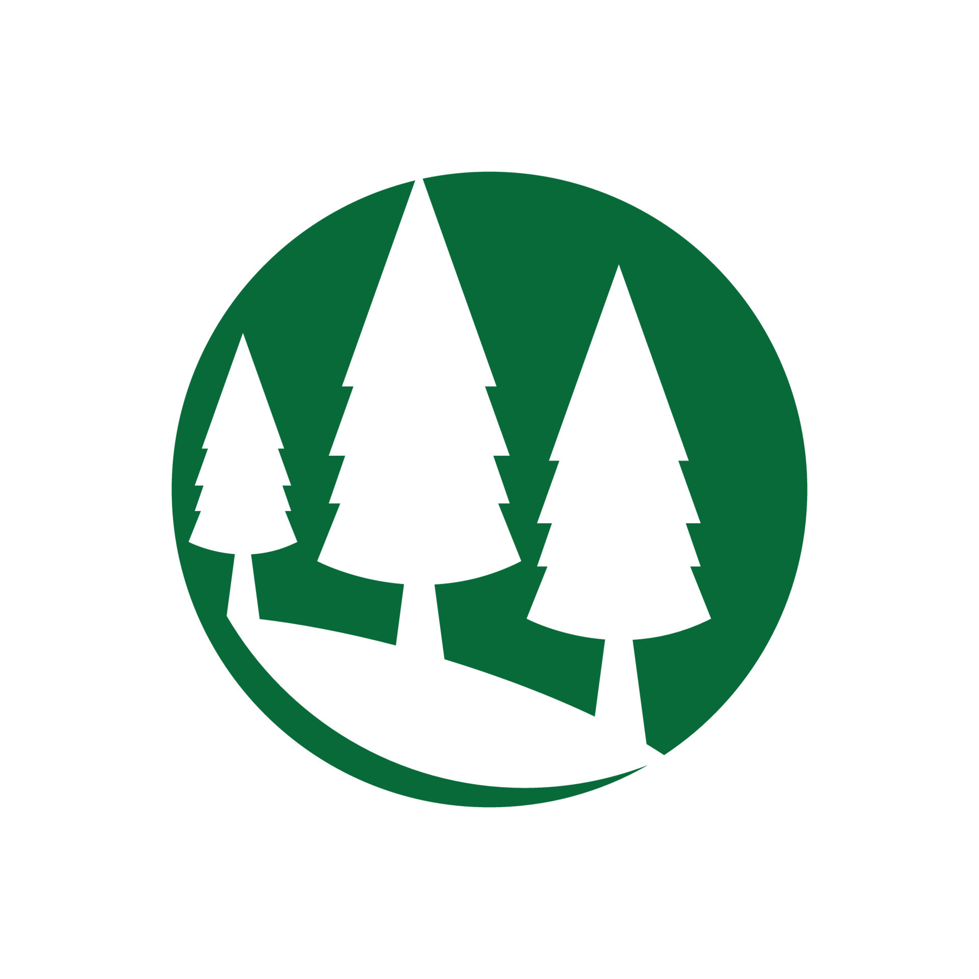 Pine tree illustration vector flat design template 16030887 Vector Art ...