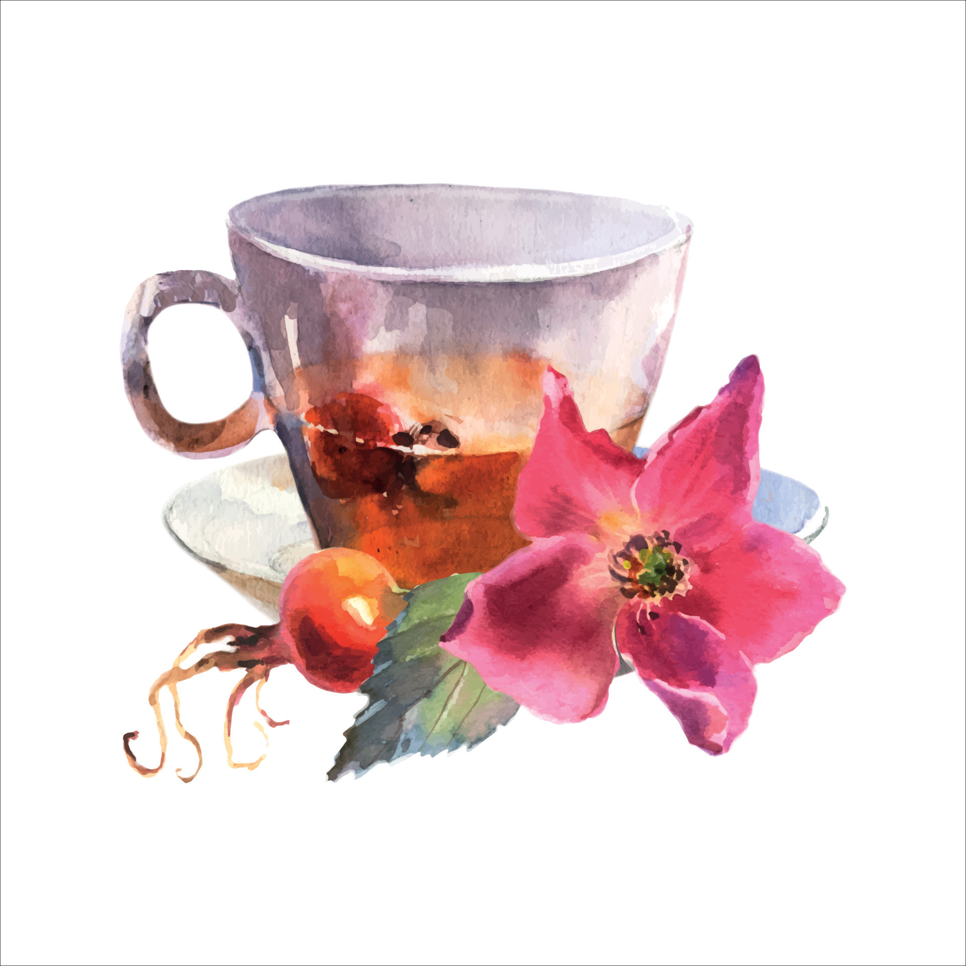 Watercolor Tea Cup Vector Art, Icons, and Graphics for Free Download