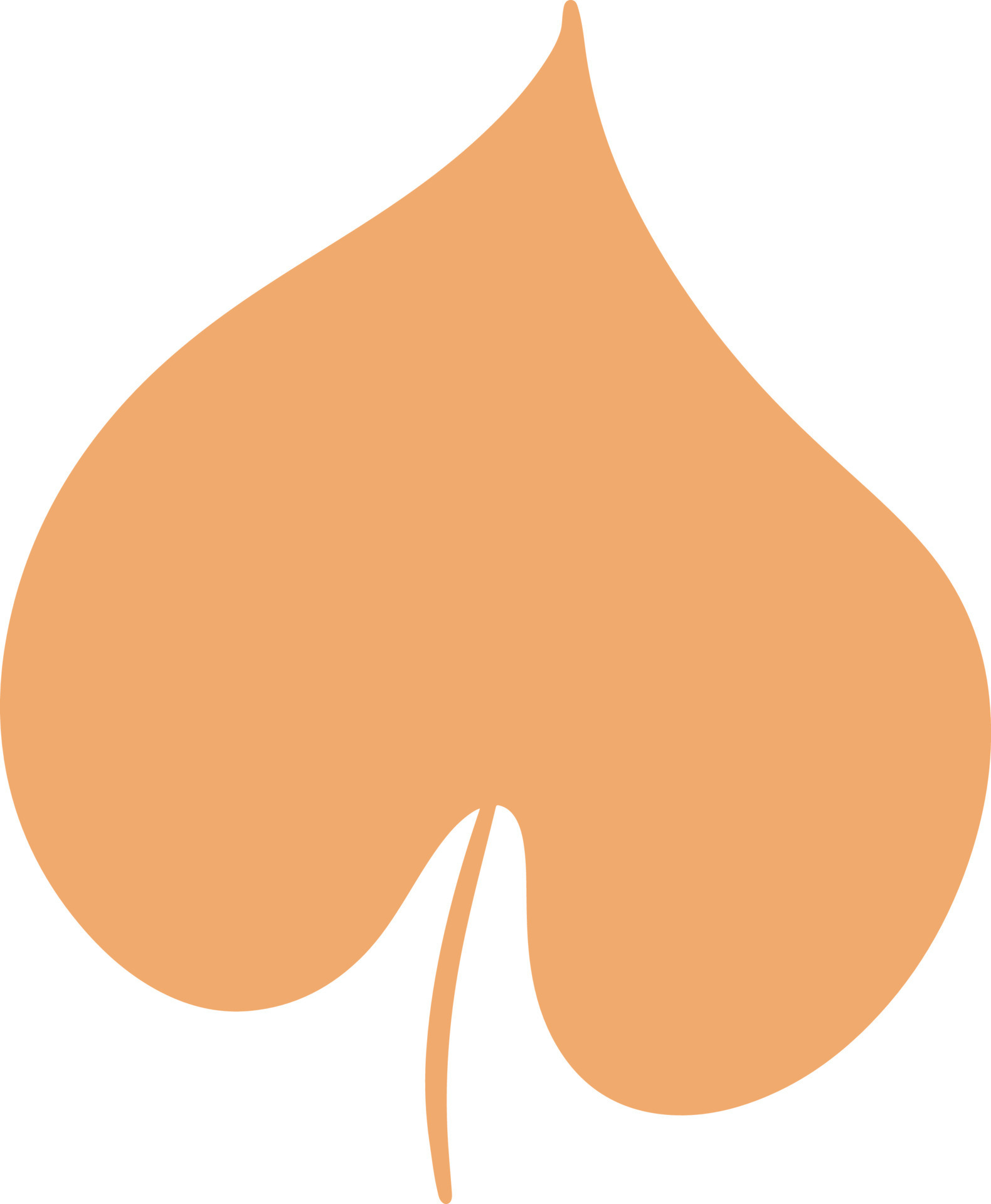 Heart Shaped Leaf Illustration 16074860 Vector Art At Vecteezy heart-shaped-leaf-illustration-16074860-vector-art-at-vecteezy