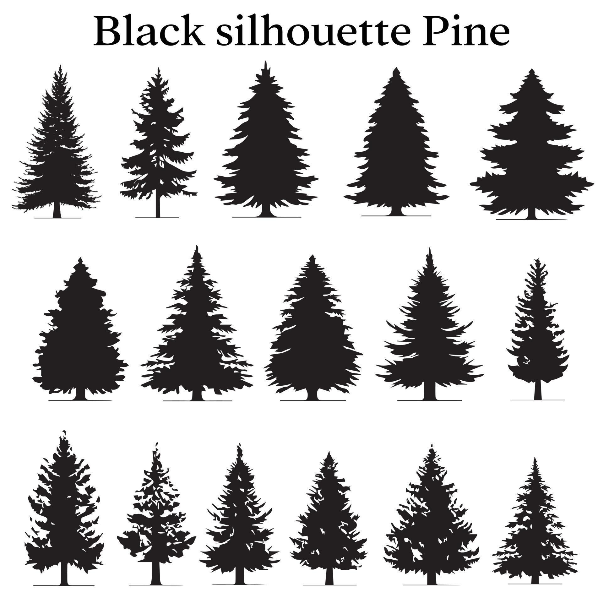 Silhouette of pine trees, Set of fir trees, Set of Pine Trees 16086812 ...