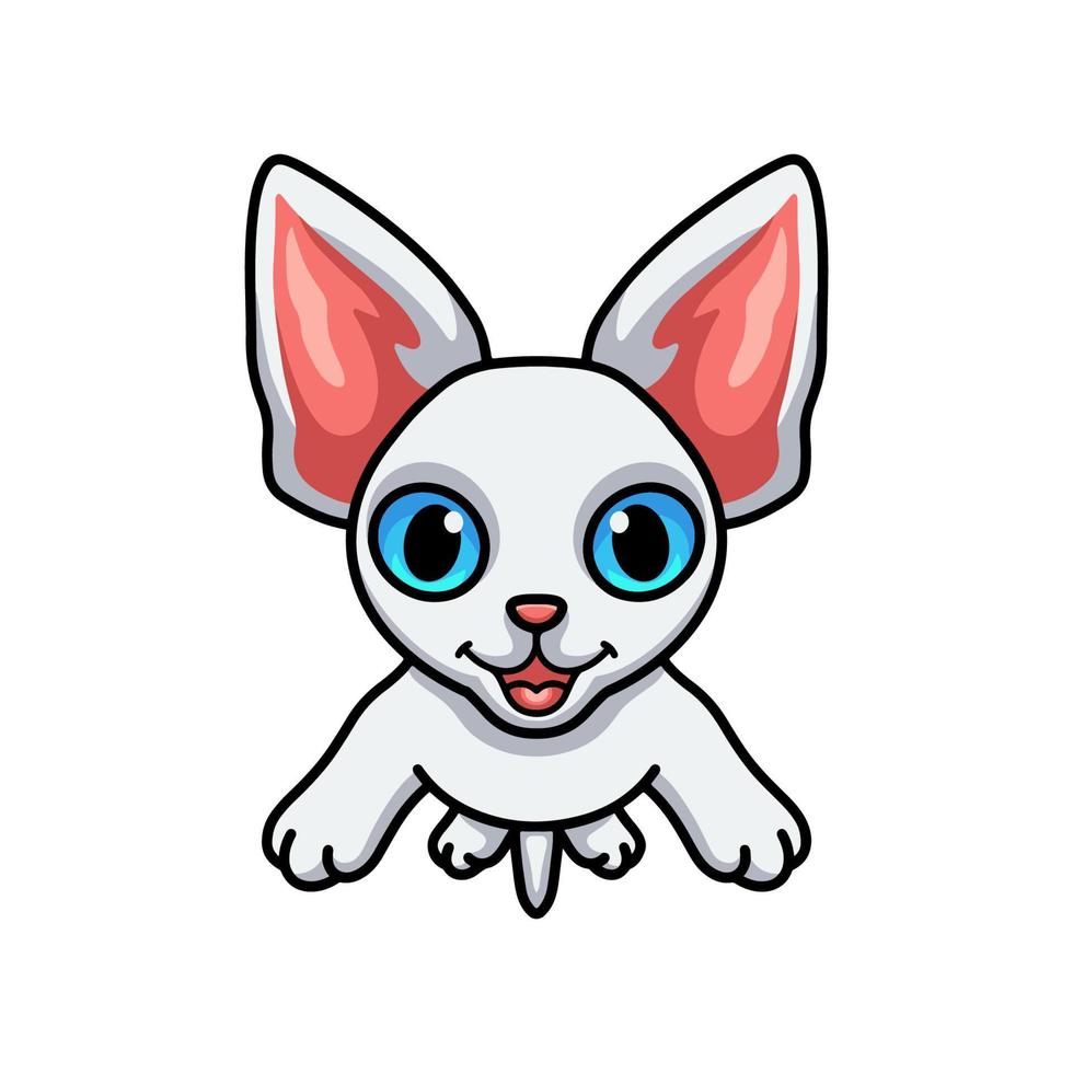Cute Devon Rex Cat Cartoon Posing 16093197 Vector Art At Vecteezy