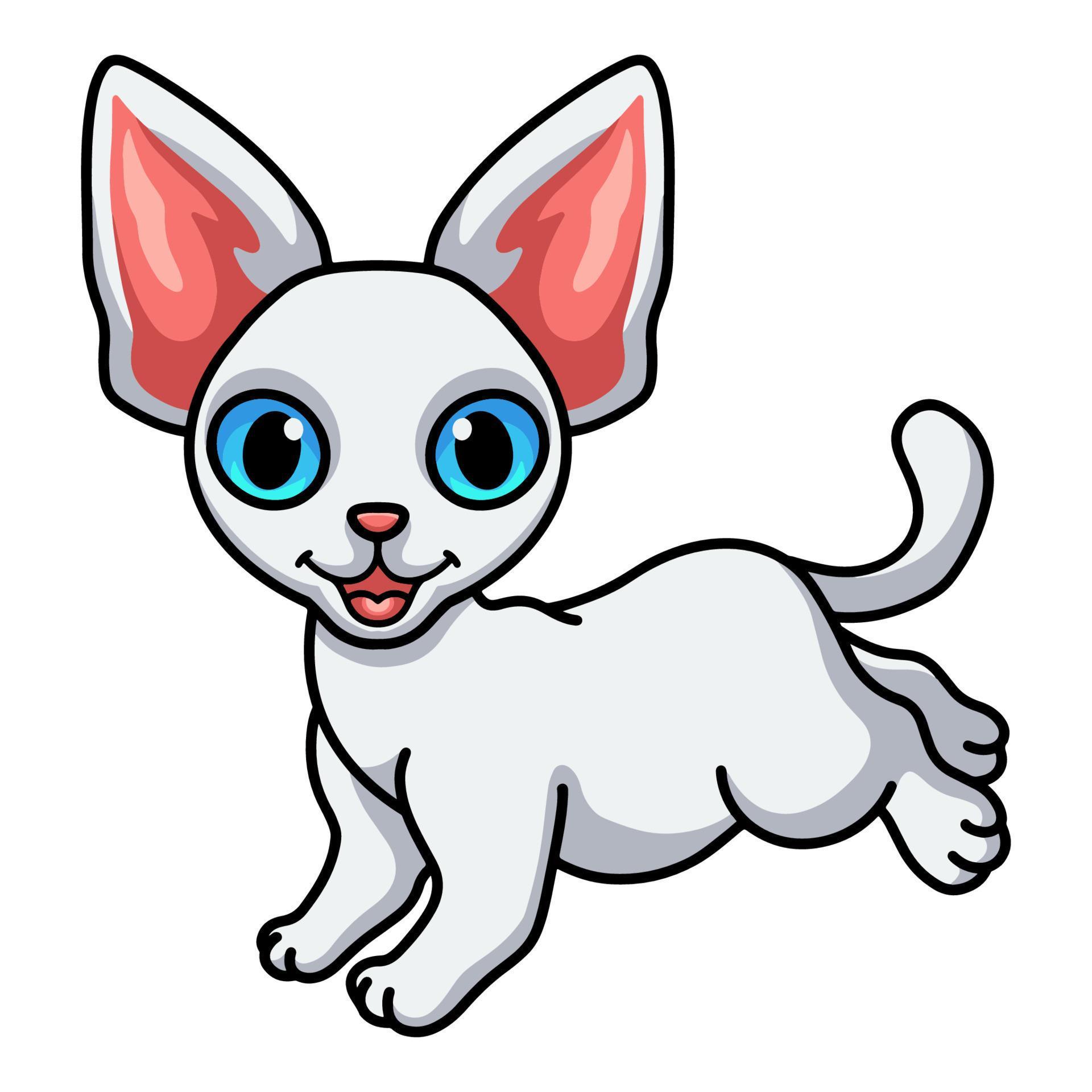 Cute Devon Rex Cat Cartoon Jumping 16093223 Vector Art At Vecteezy