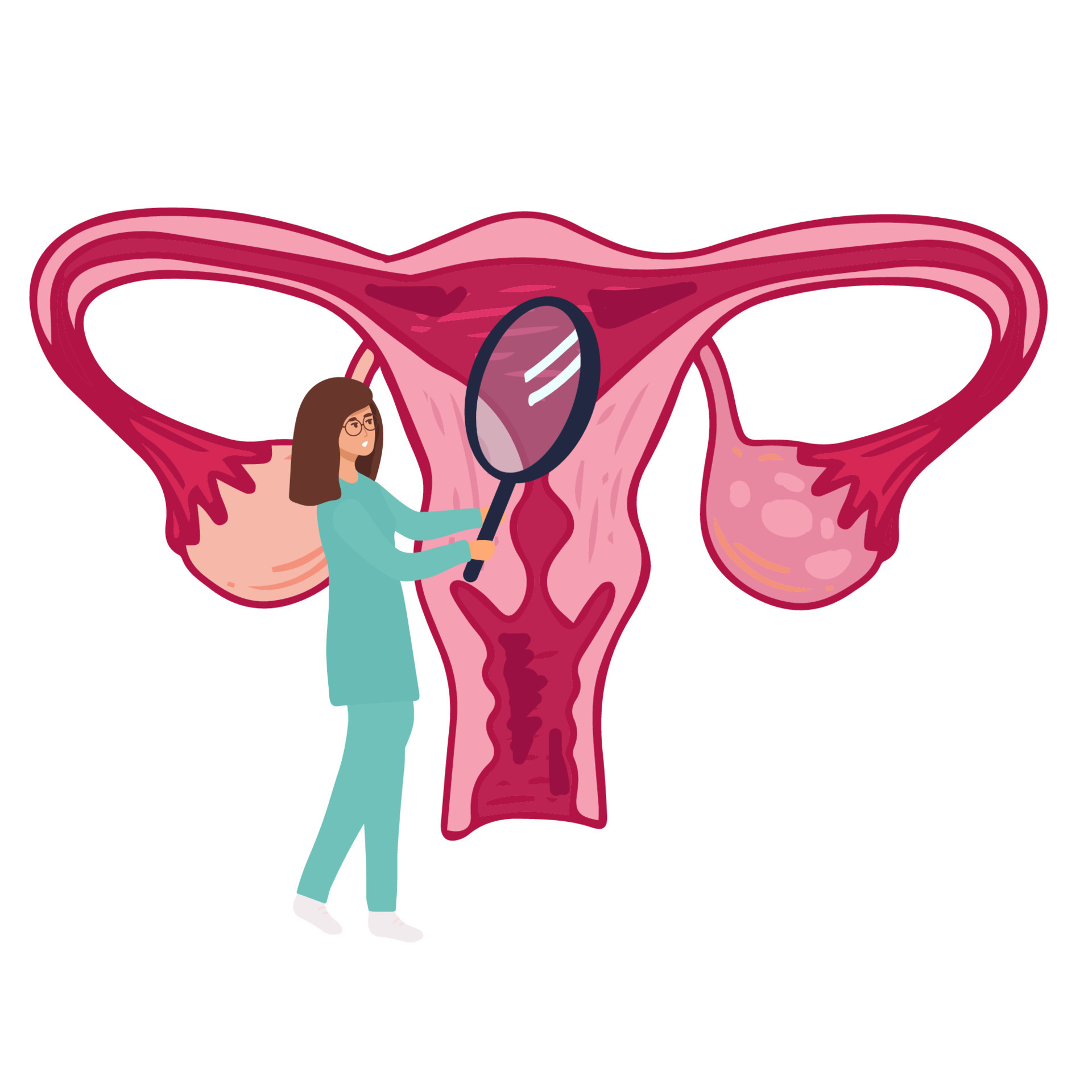 Female Menstrual Cycle Female Doctor Tracking Menstrual Cycle Vector Illustration Of Female