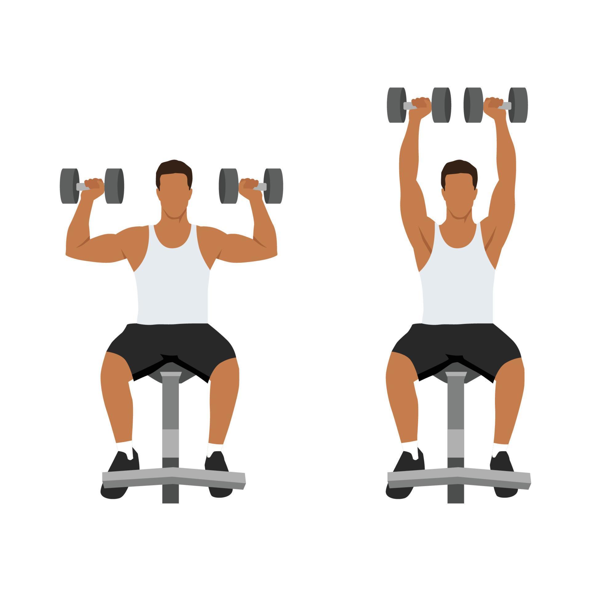 Man Doing Seated Dumbbell Overhead Shoulder Press Top Body Workout Upper Body Exercises Flat